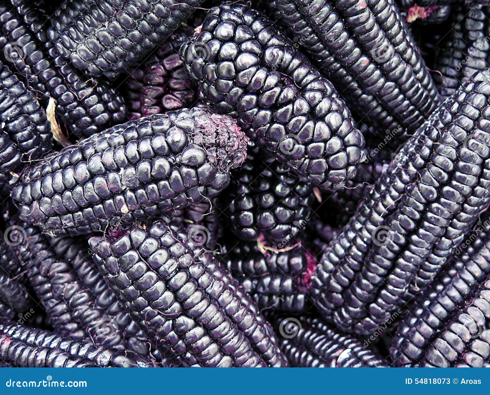 Pile of Peruvian Purple Corn Stock Image - Image of vegan, peru: 54818073