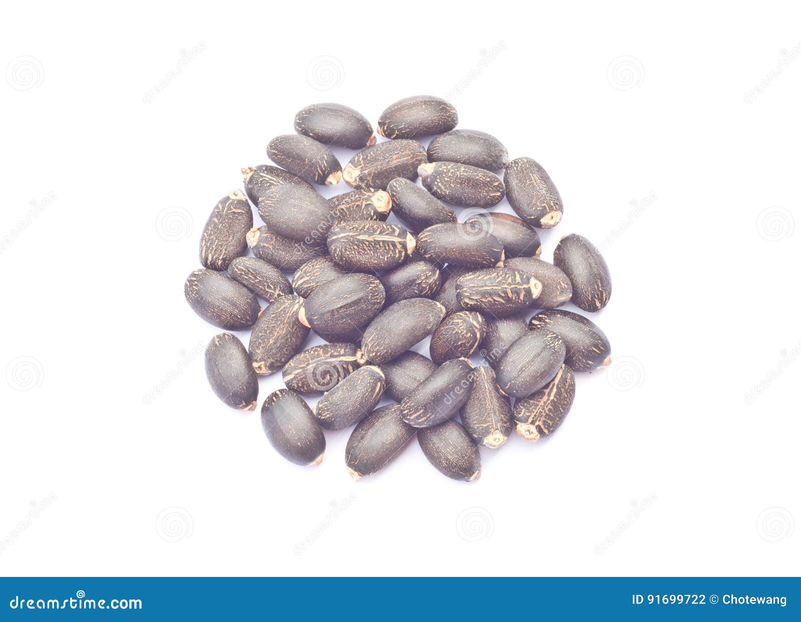 Pile of Physic Nuts stock photo. Image of danti, jatrophin - 91699722