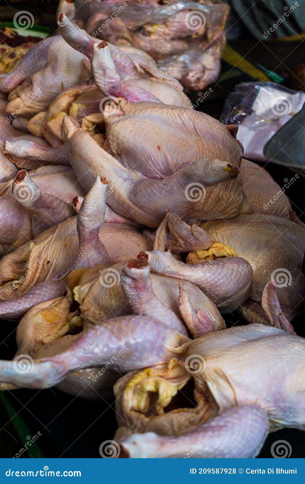 Pile of pieces of chicken stock photo. Image of meat - 209587928