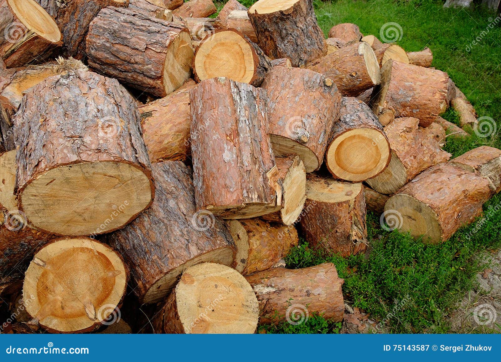Pile of Pine Chocks on the Ground Stock Image - Image of lumber, pile ...