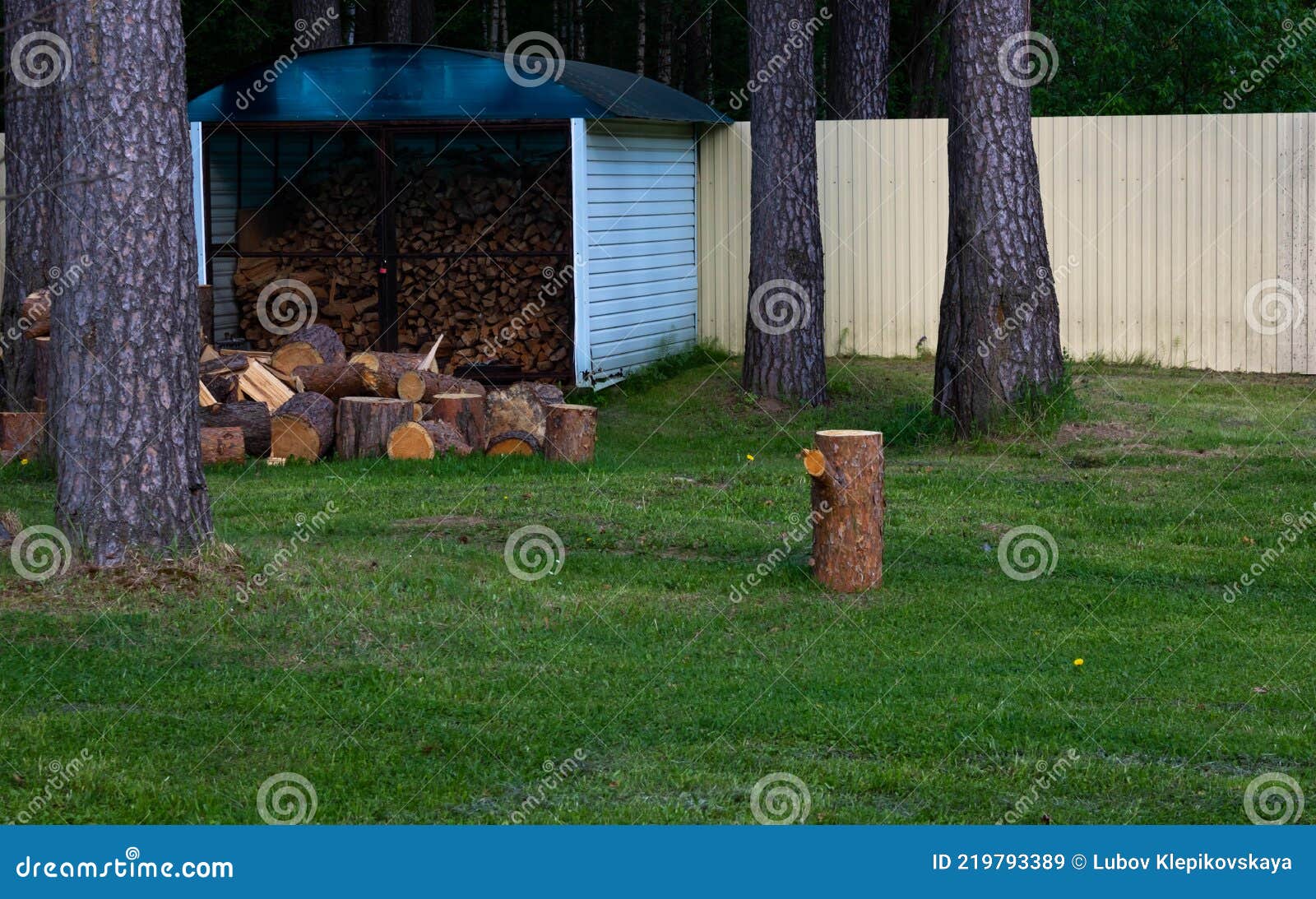 A Pile of Pine Chocks on the Ground on the Green Grass Stock Image ...