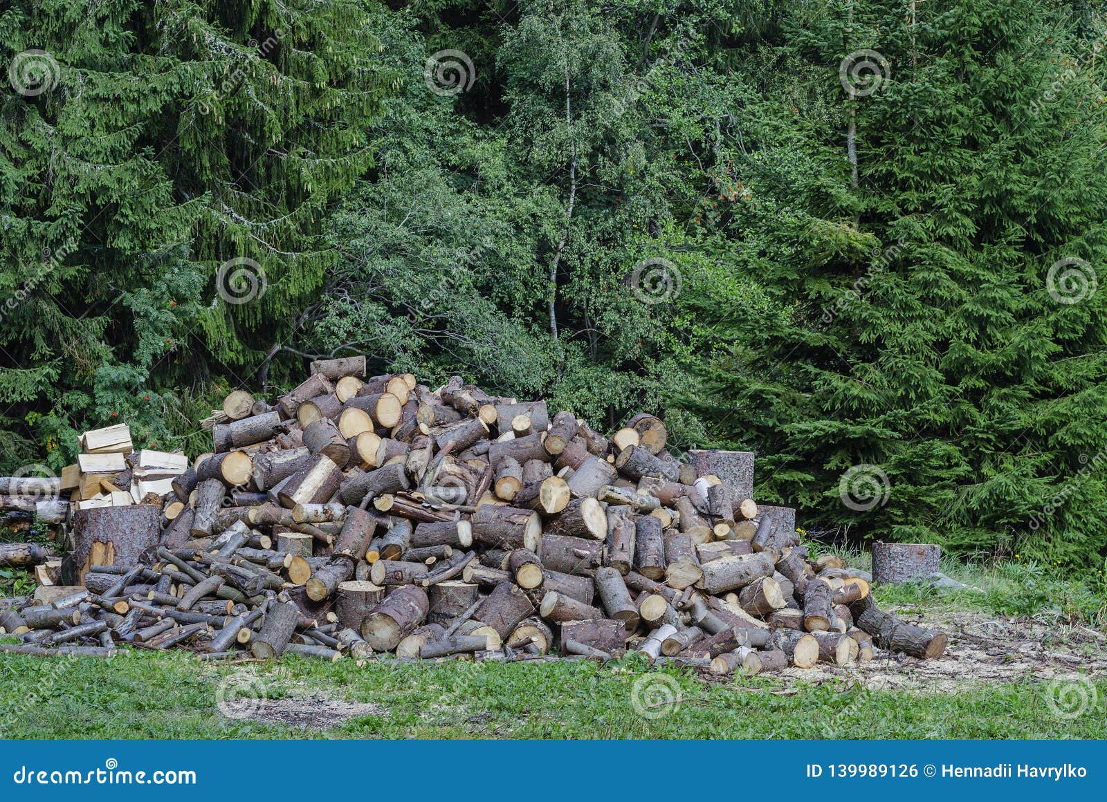 A Pile of Pine Logs in the Forest Stock Photo - Image of industry, pile ...