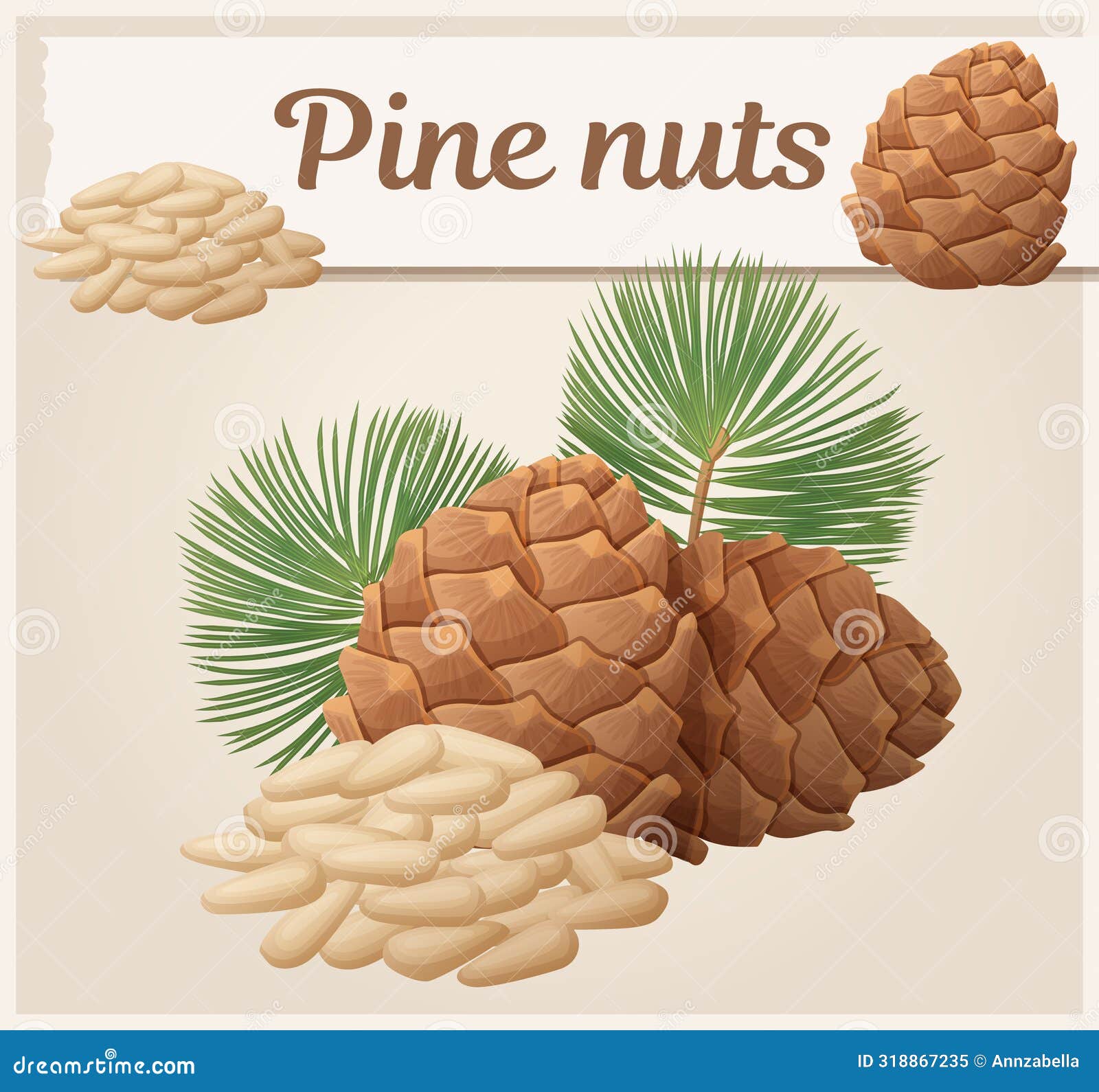 A Pile of Pine Nuts, Pine Cones and Branches Vector Illustration. Seeds ...