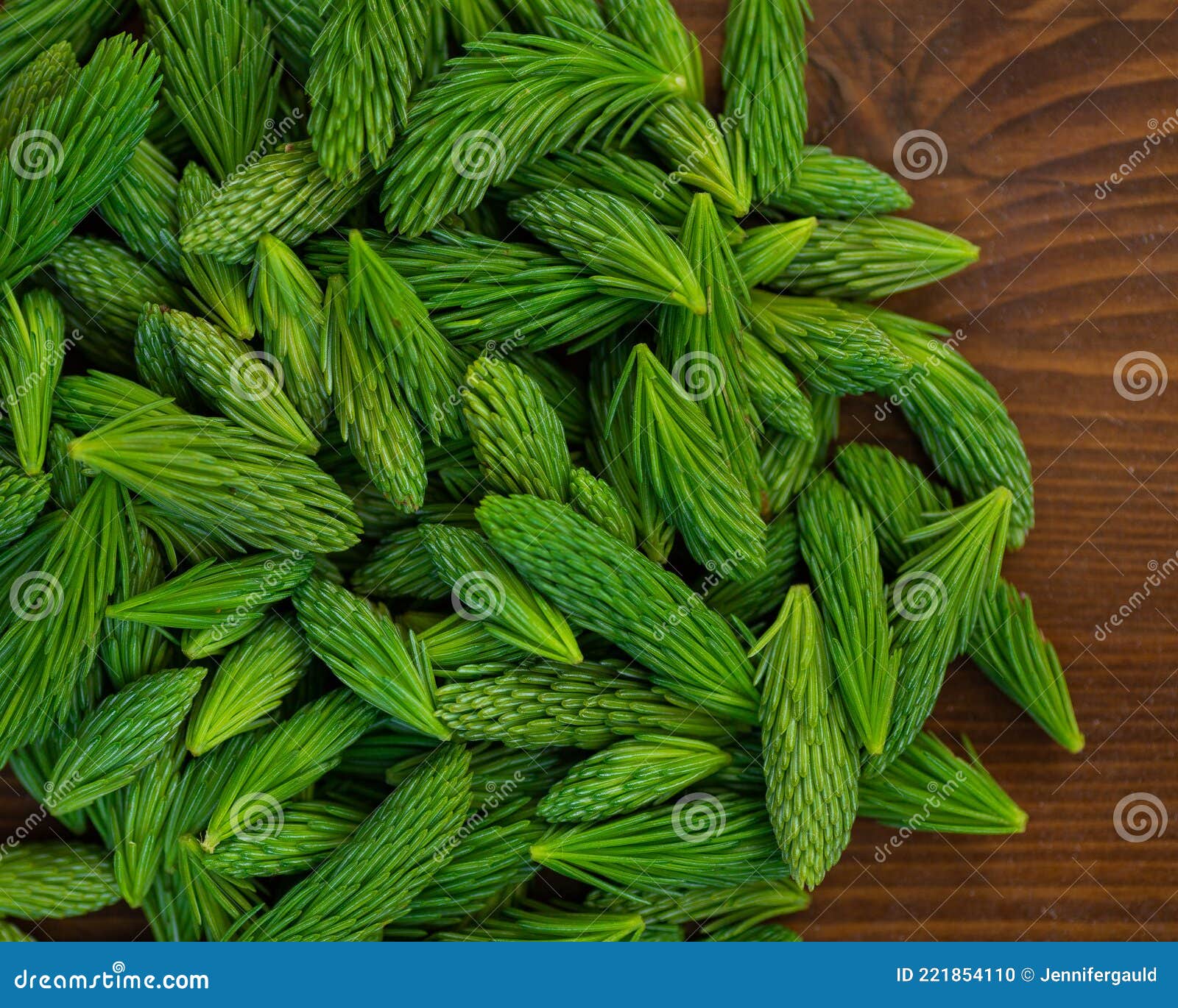 Pile of Pine Tips on Wood from Above Stock Photo - Image of forest ...