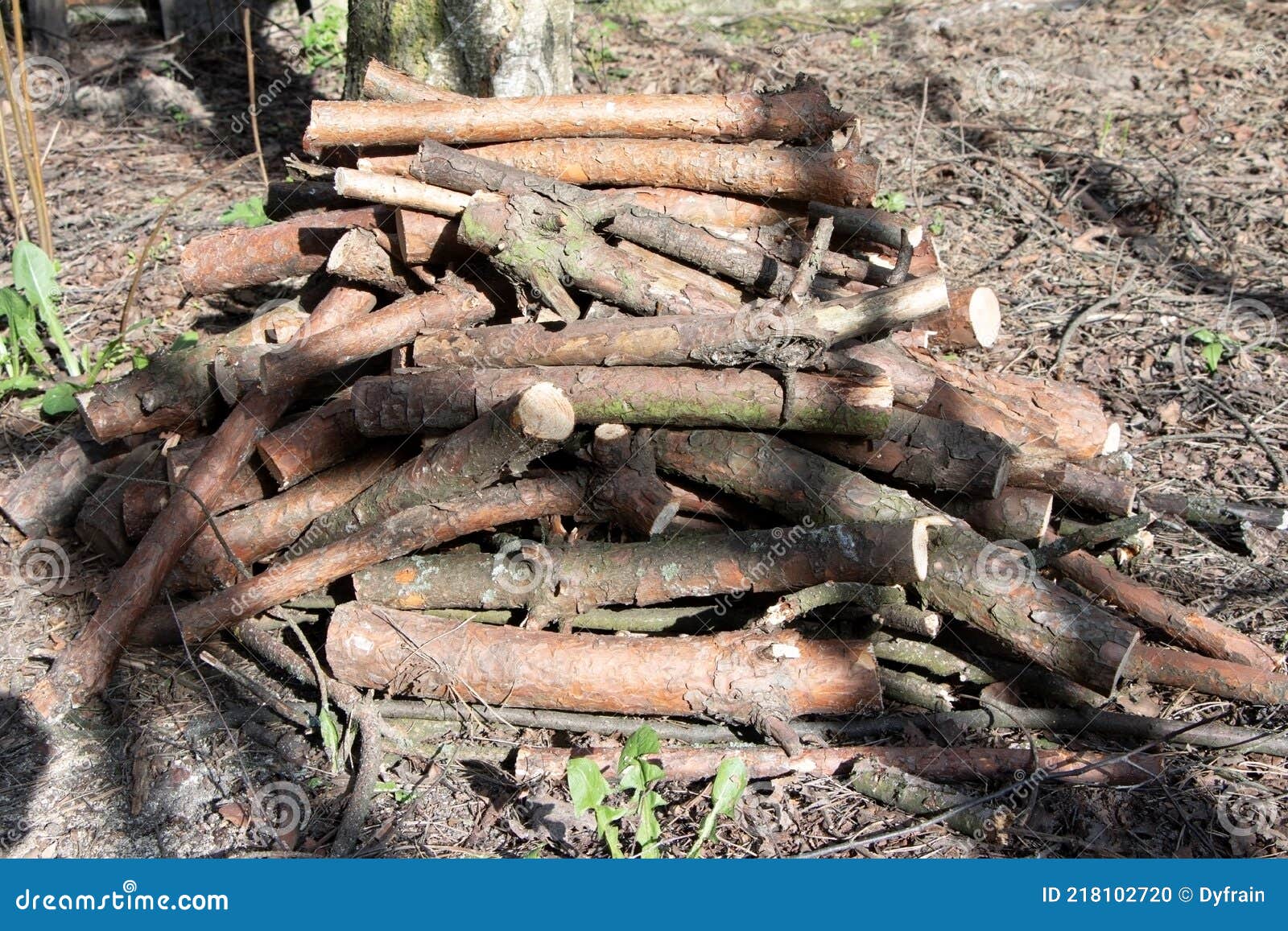 A Pile of Pine Wood. Stacks of Firewood. Choped Wood Stock Photo ...