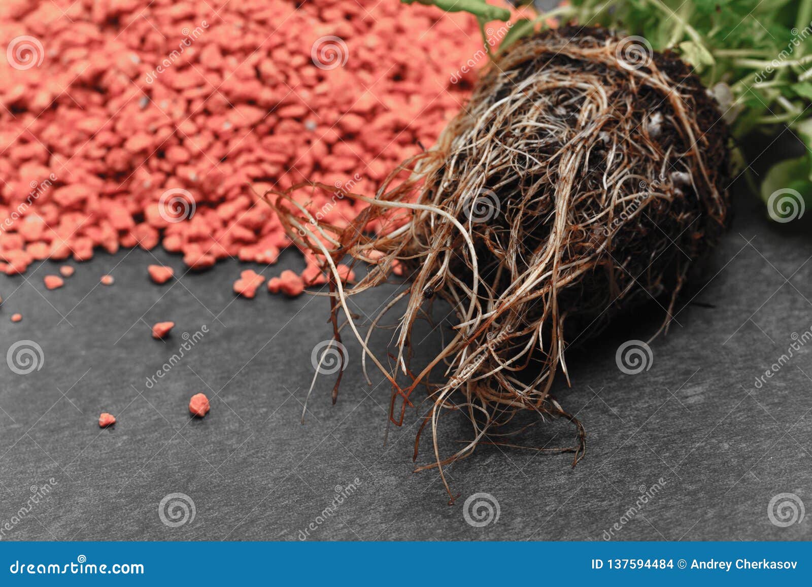 Pile of Pink Fertilizer for Plants Stock Photo - Image of nitrogen ...