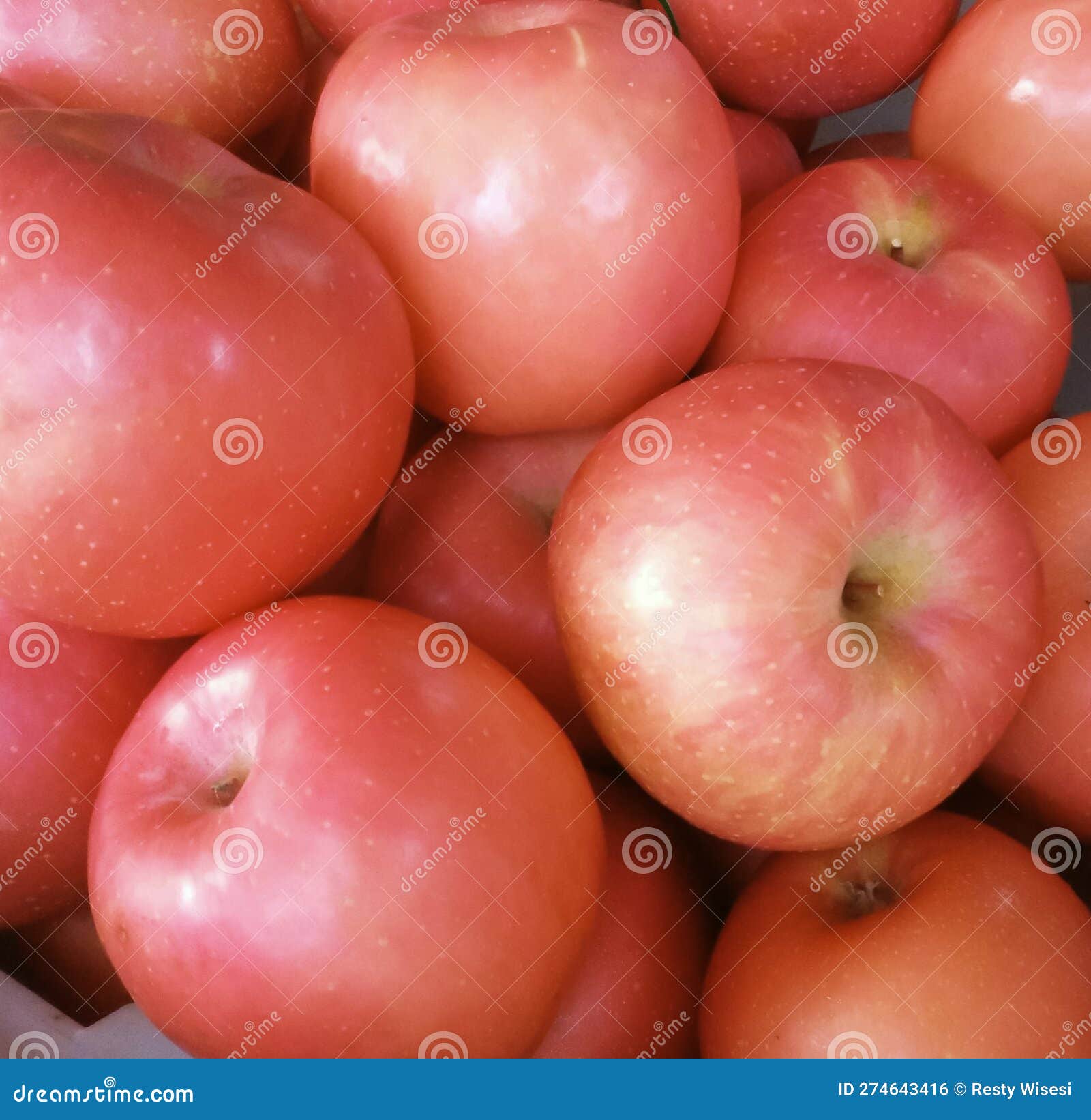 Pile of pink lady apples stock photo. Image of pile - 274643416