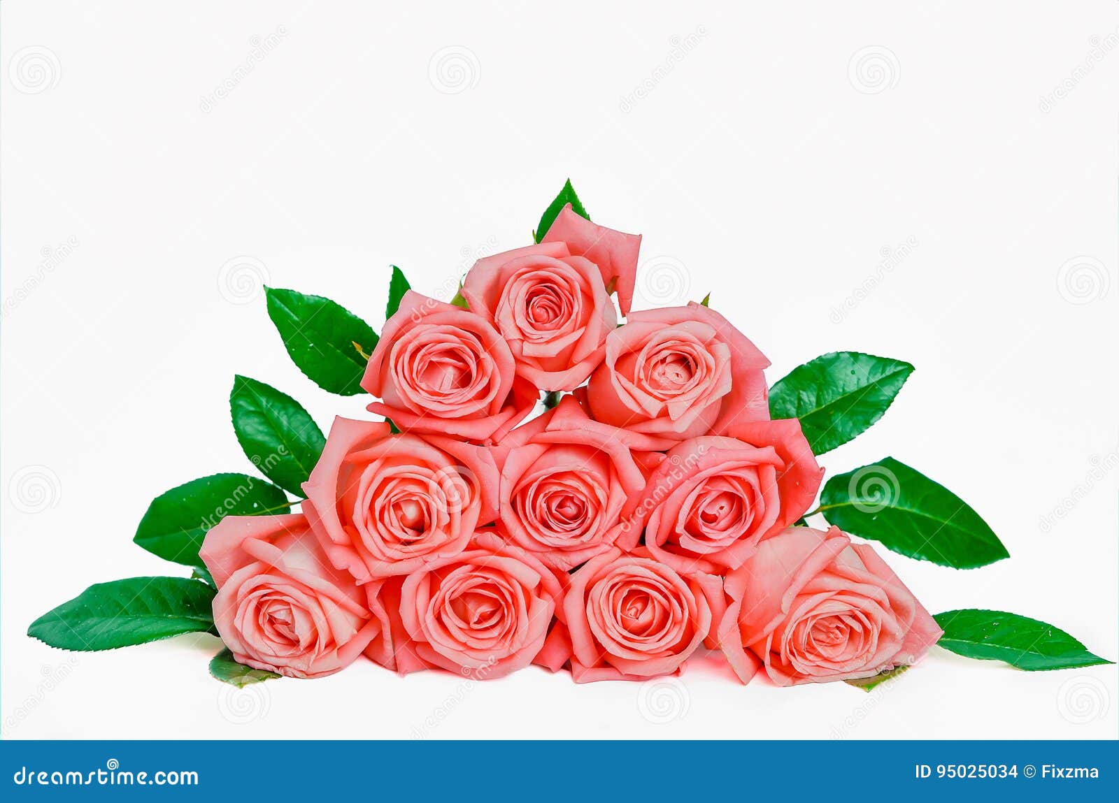 Pile of Pink Rose Flowers Isolate on White Stock Photo - Image of petal ...