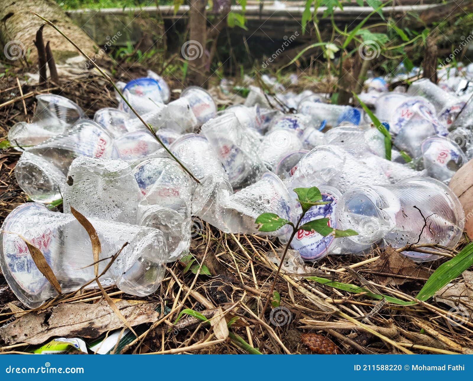 A Pile of Plastic Waste on the Ground Stock Photo - Image of wildlife ...
