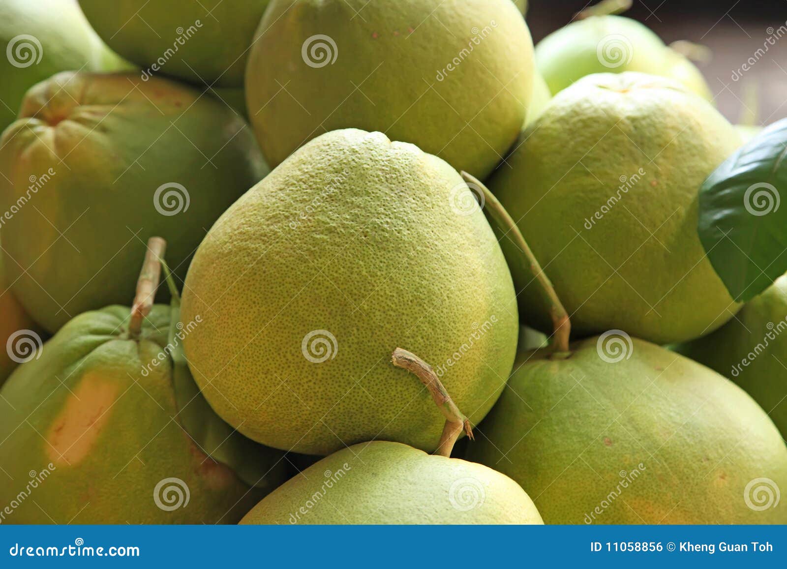 Pile of pomelo fruits stock photo. Image of grapefruit - 11058856