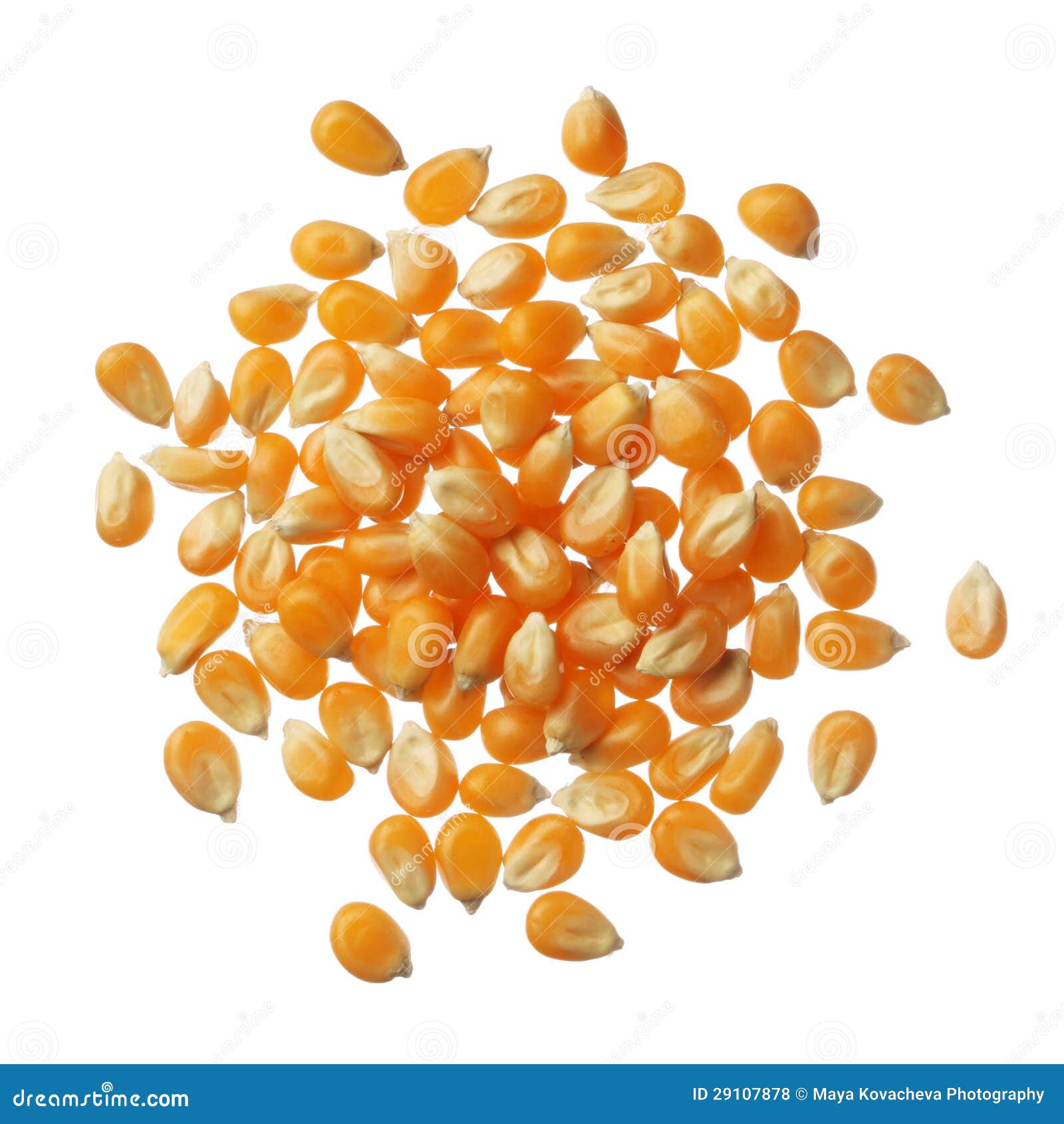 Pile of Popcorn Kernels Isolated on White Background Stock Photo ...