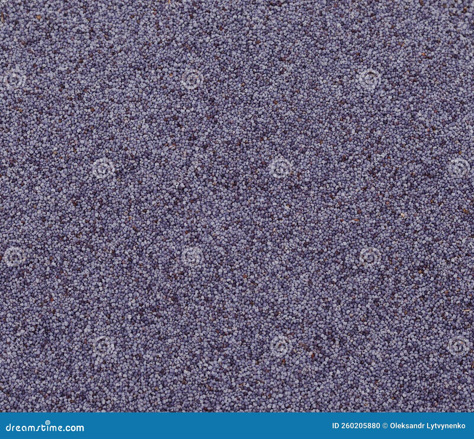 A pile of poppy seeds stock photo. Image of black, culinary - 260205880