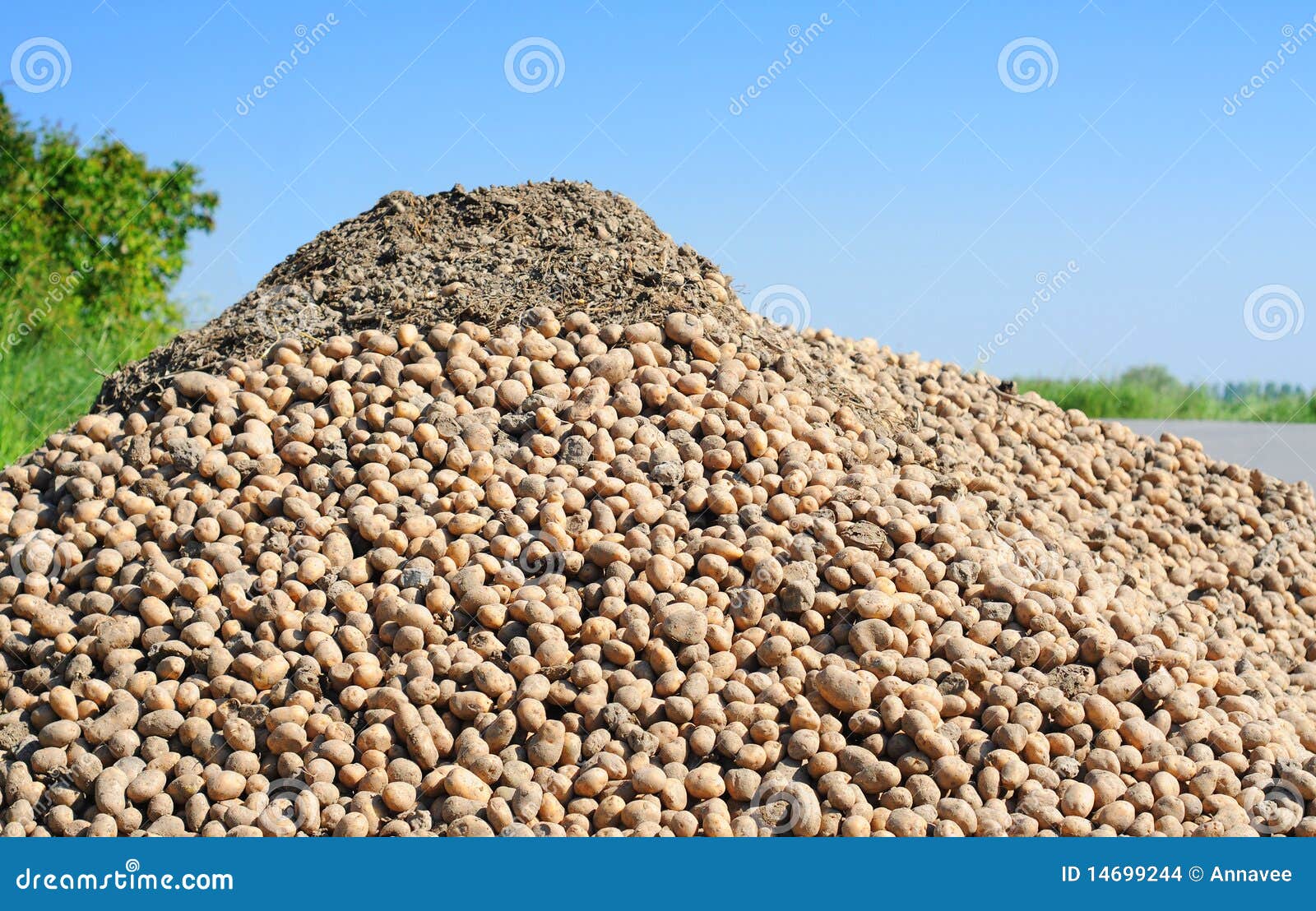 Pile Of Potatoes Stock Images - Image: 14699244