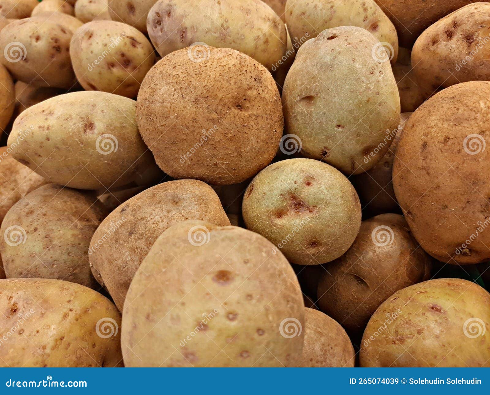 Pile of Potatoes after Harvesting Stock Image - Image of citrus, tree ...