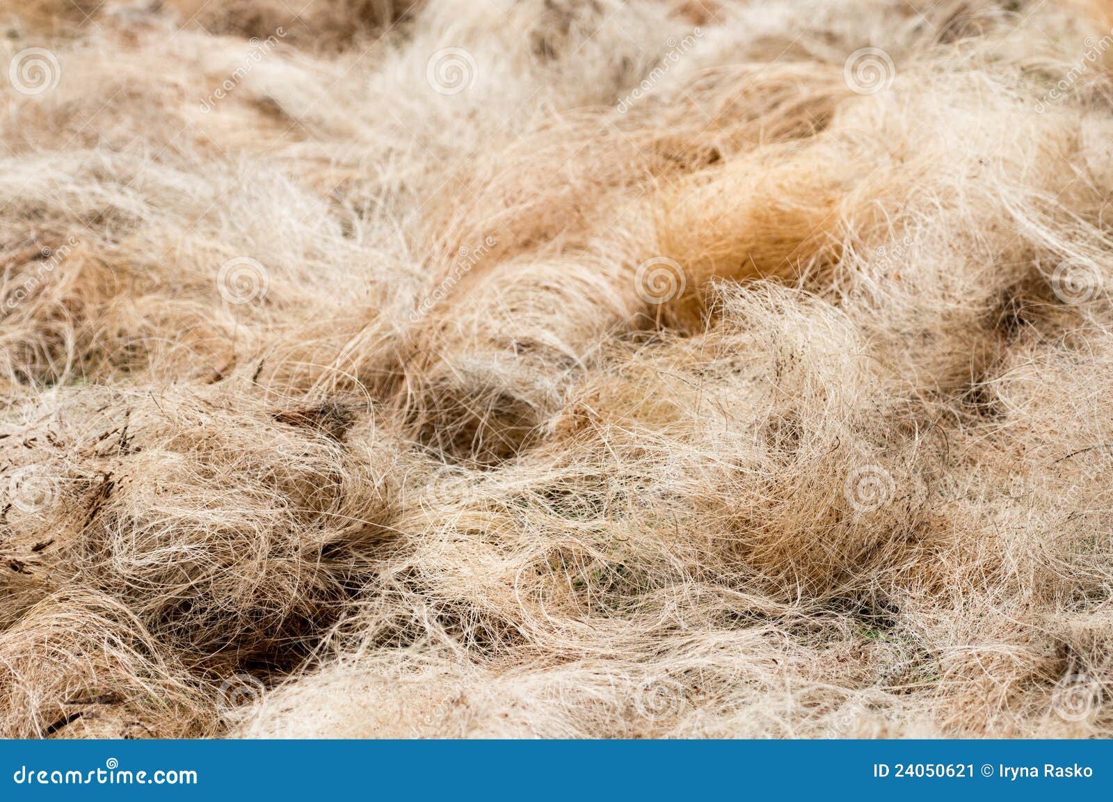 Pile of Processed Copra Fibre Stock Image - Image of bales, asian: 24050621