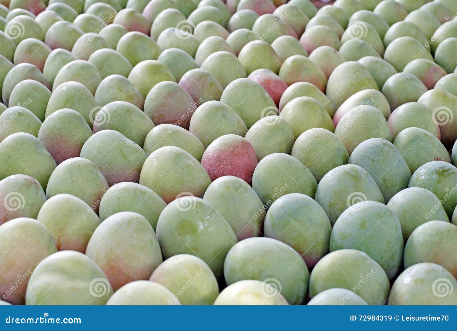 Pile of R2E2 mango stock image. Image of fresh, plant - 72984319