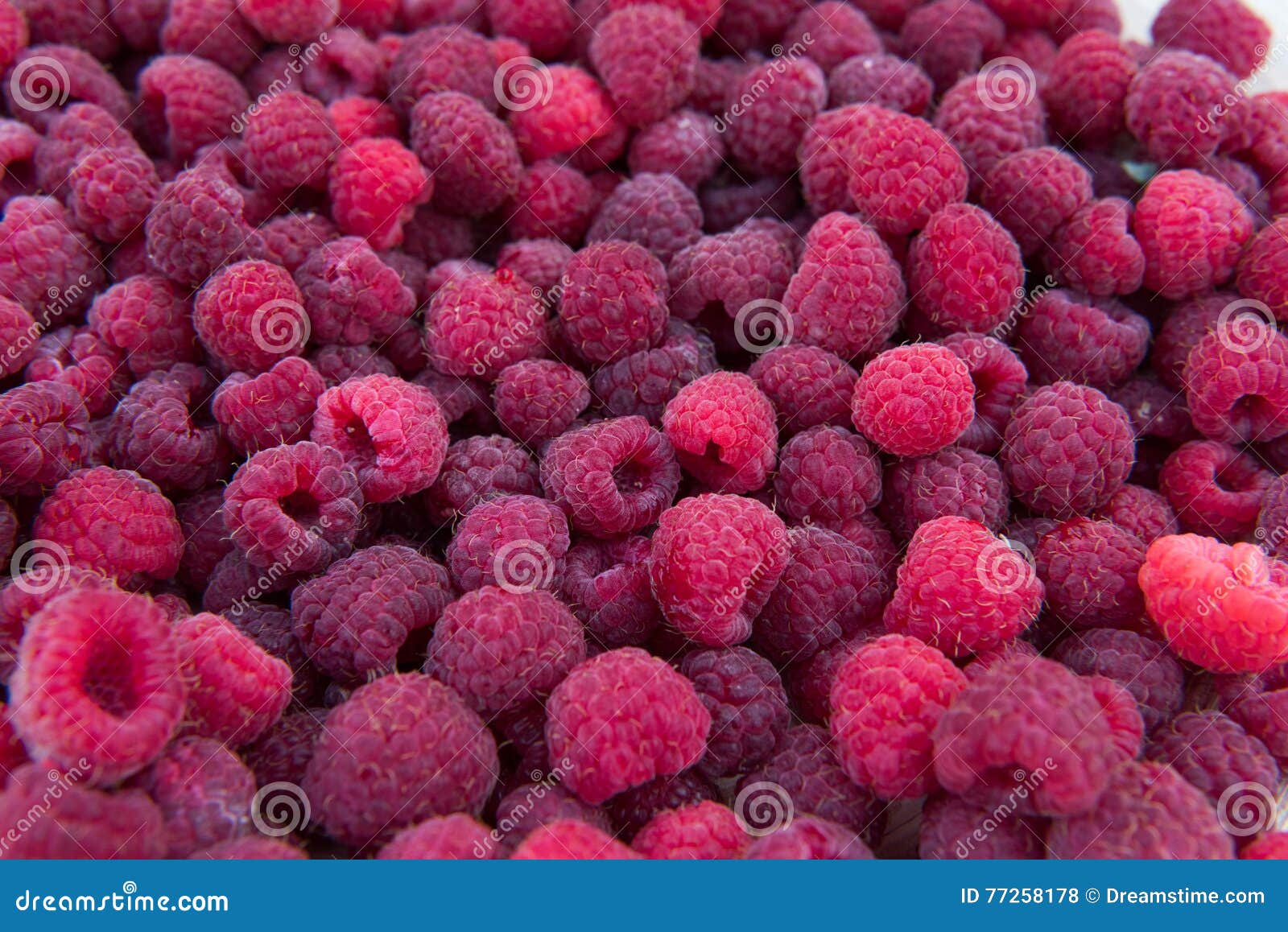 Pile of Raspberries in a Bowl Stock Photo - Image of pile, hurtleberry ...