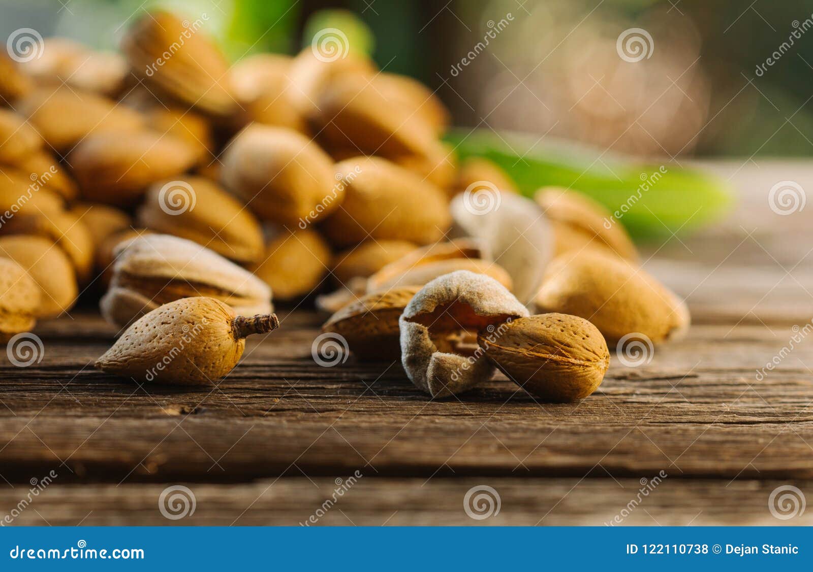 Pile of Raw Almonds, Freshly Picked from the Tree. Stock Photo - Image ...