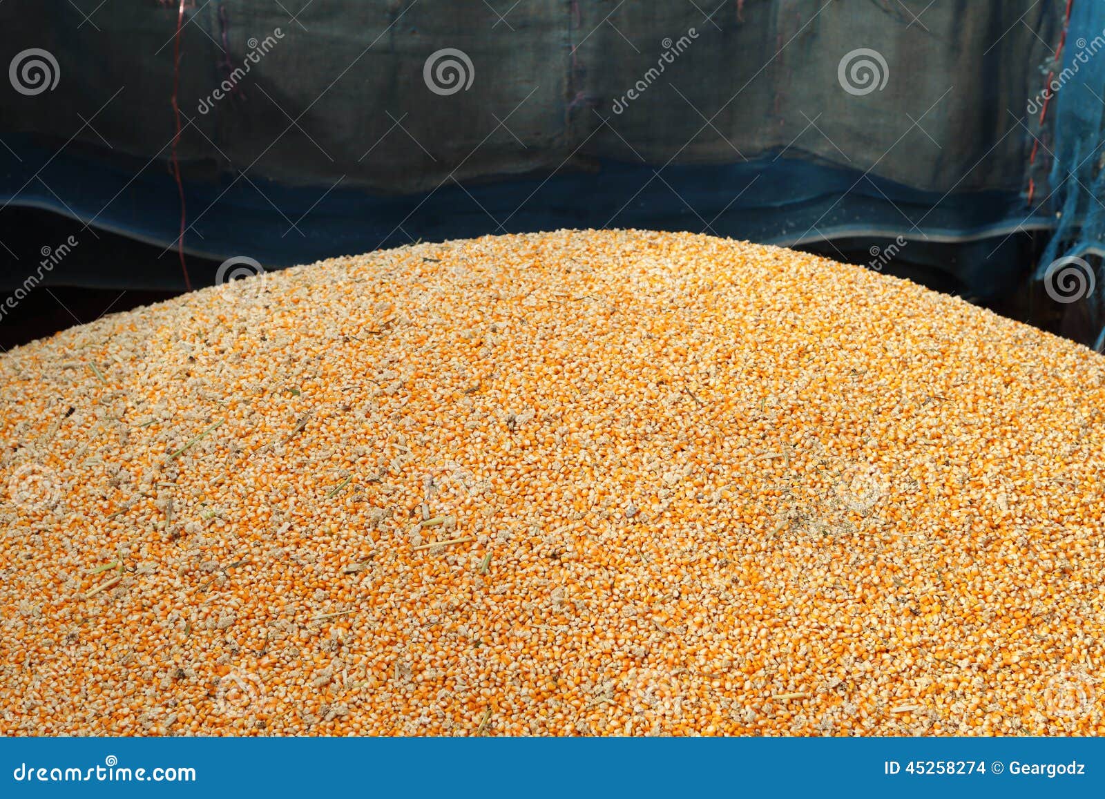 Pile of Raw Kernel Corn Beans Stock Photo - Image of ingredient ...