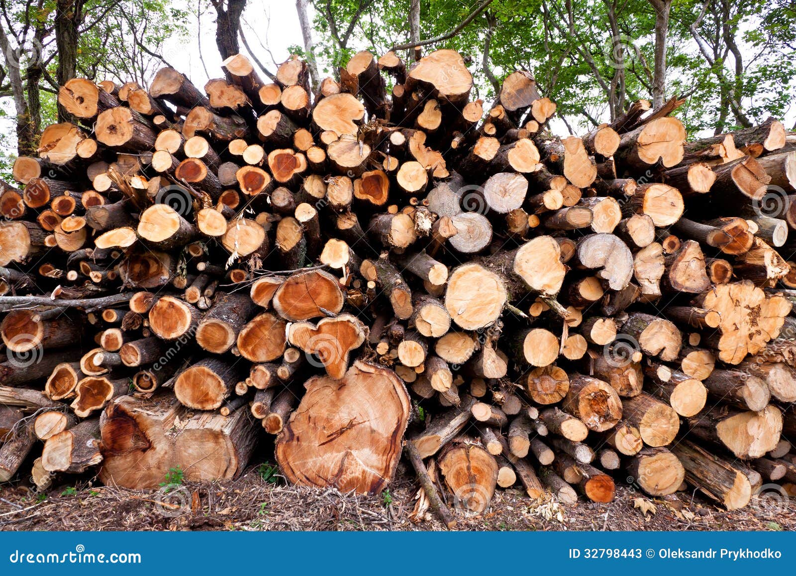 Pile of raw pine wood logs stock image. Image of pattern - 32798443