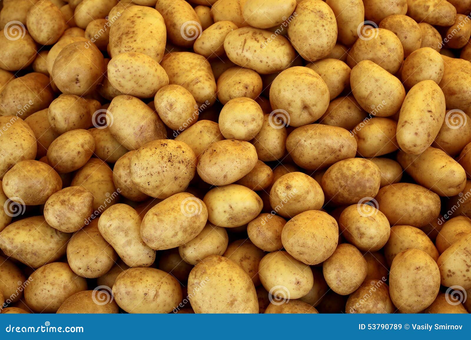 Pile of raw potatoes stock image. Image of potatoes, market - 53790789