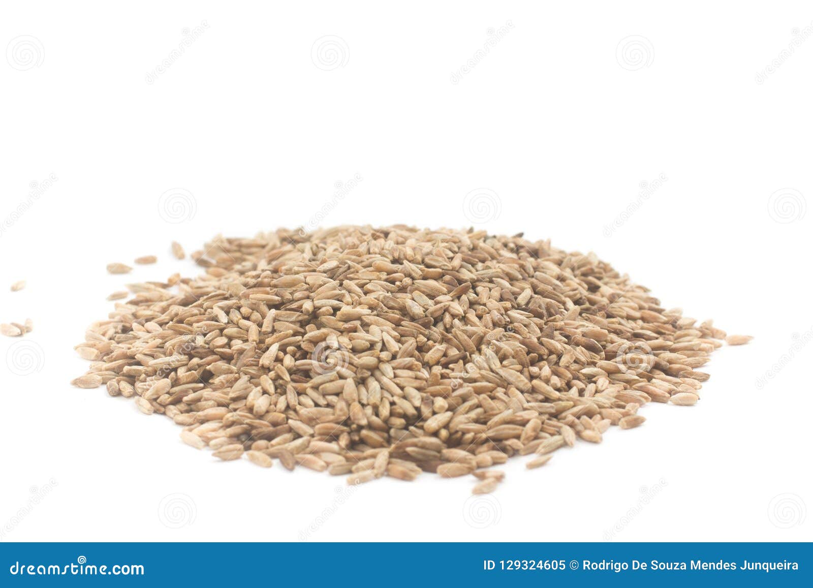 Pile of Raw Rye stock image. Image of pile, crop, grains - 129324605