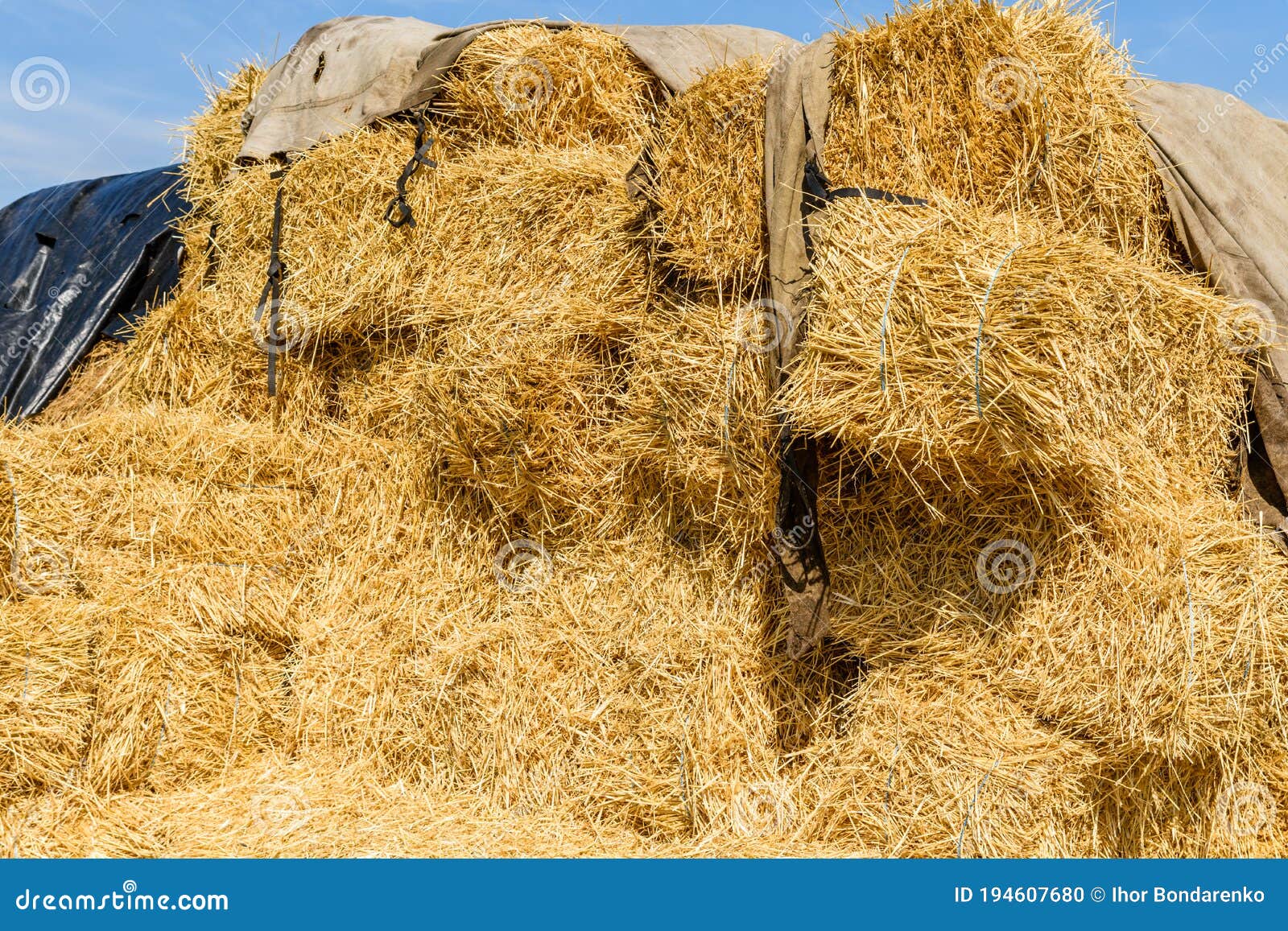 Pile of the Rectangular Straw Bales on a Farmyard Stock Photo - Image ...