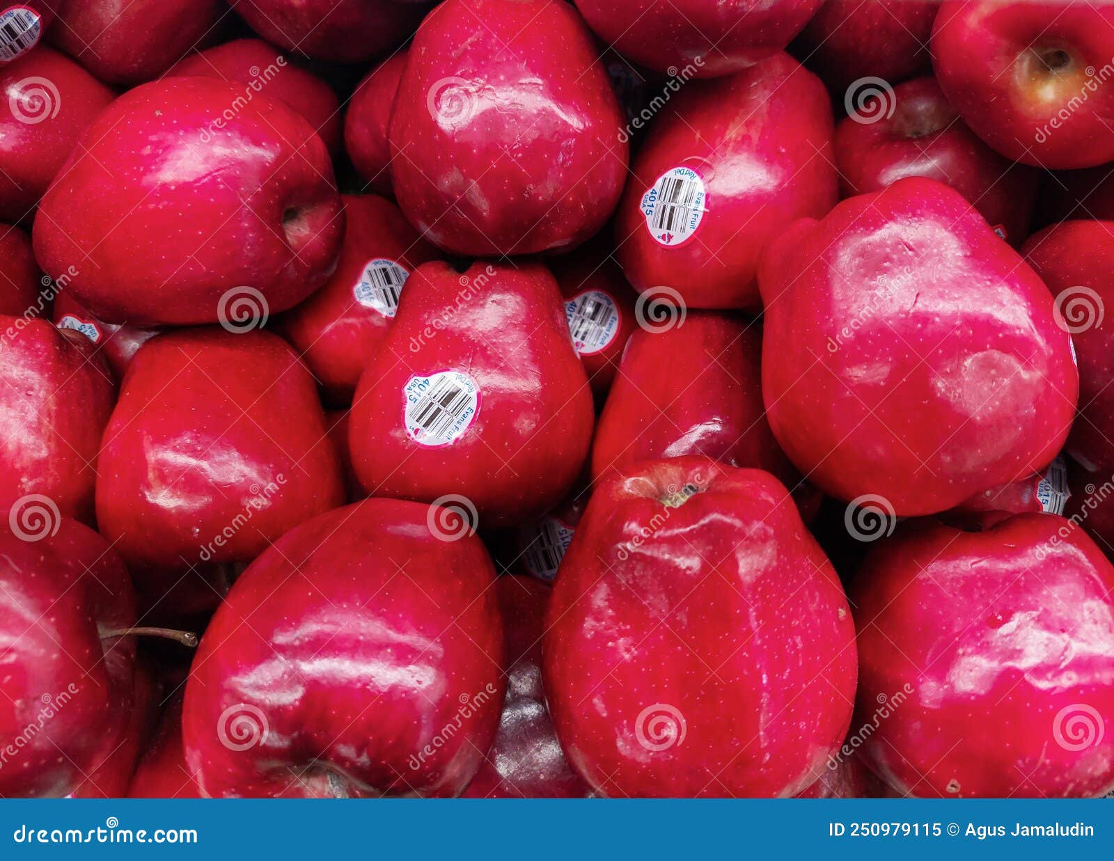 A Pile of Red Apple Shoot on Top Stock Image - Image of shoot, nature ...