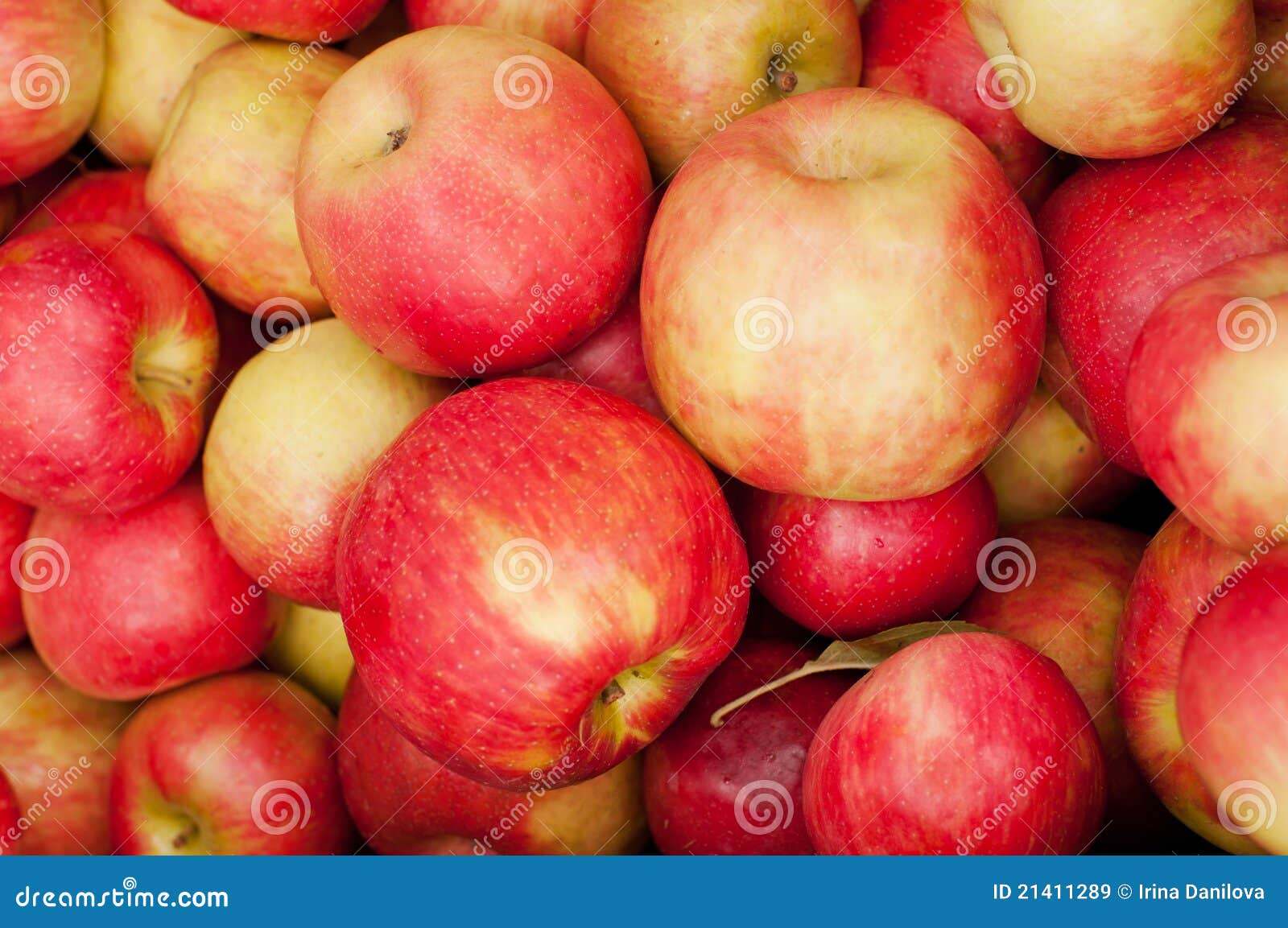Pile of Red Apples stock image. Image of season, autumn - 21411289