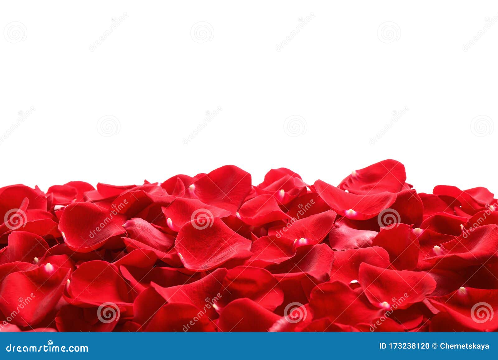 Pile of Red Rose Petals on Background Stock Photo - Image of flora ...