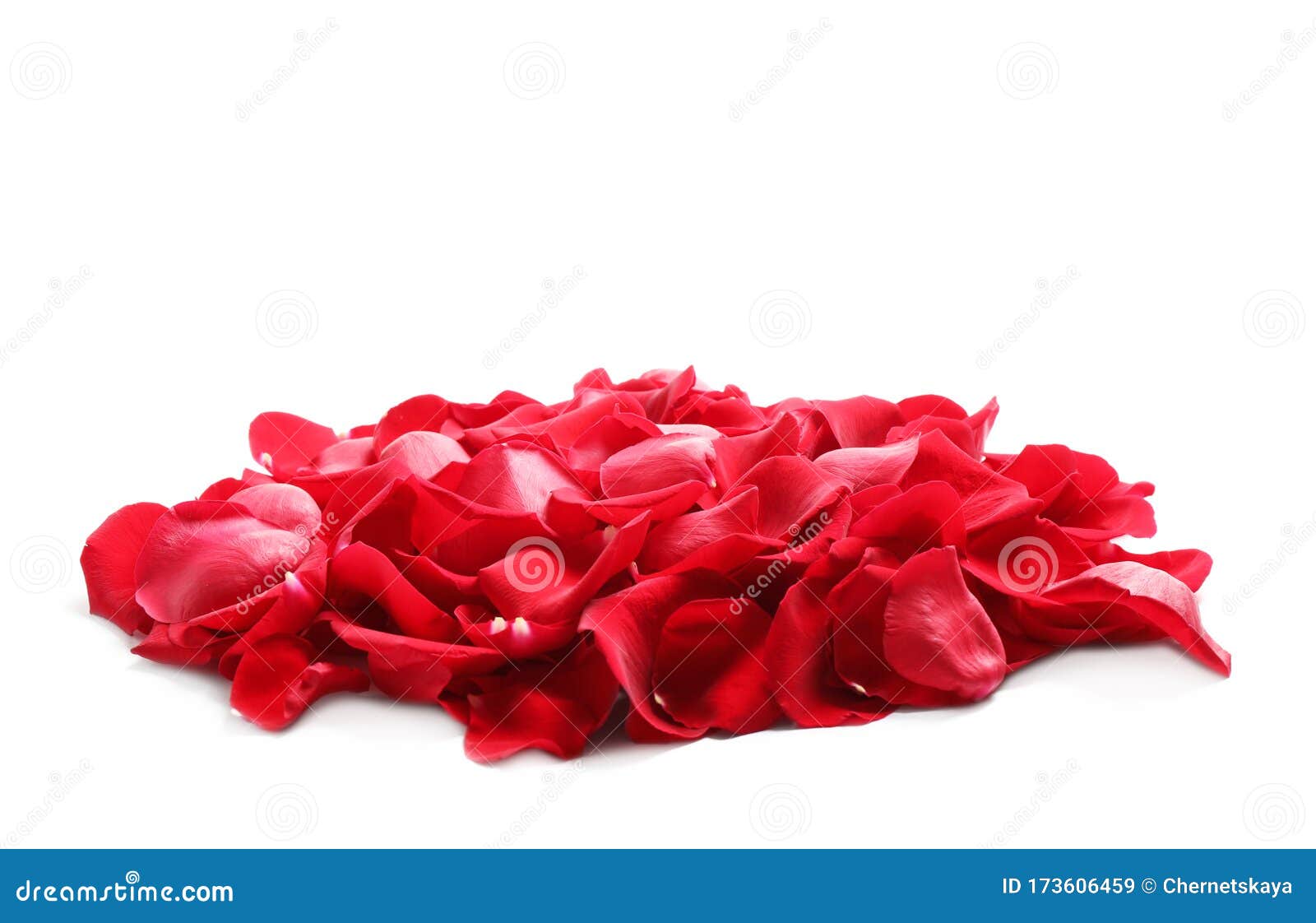 Pile of Red Rose Petals on White Background Stock Image - Image of ...