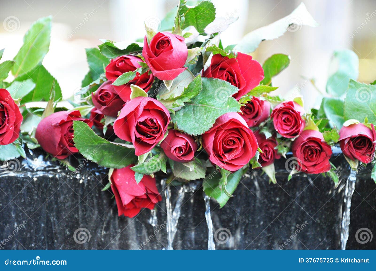 Pile of red roses stock image. Image of anniversary, floral - 37675725