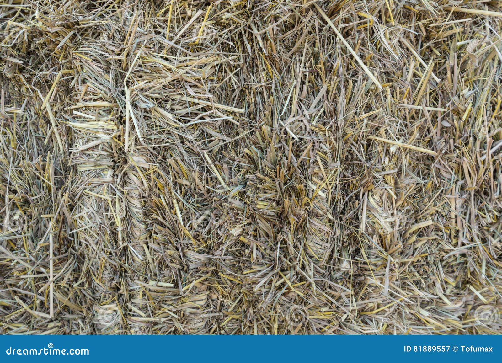 Pile of rice straw texture stock image. Image of haystack - 81889557