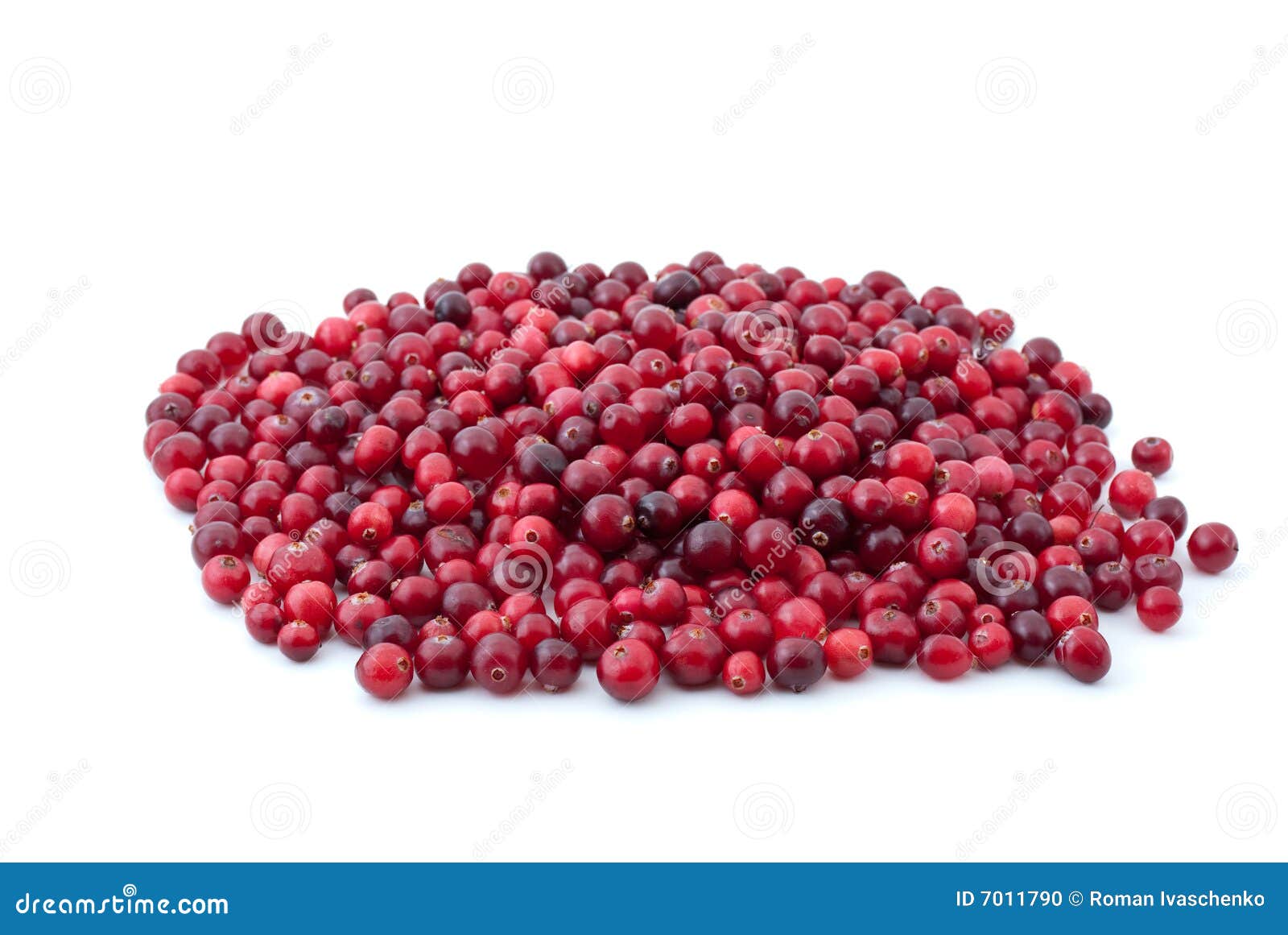 Pile of ripe cranberries stock photo. Image of cranberry - 7011790