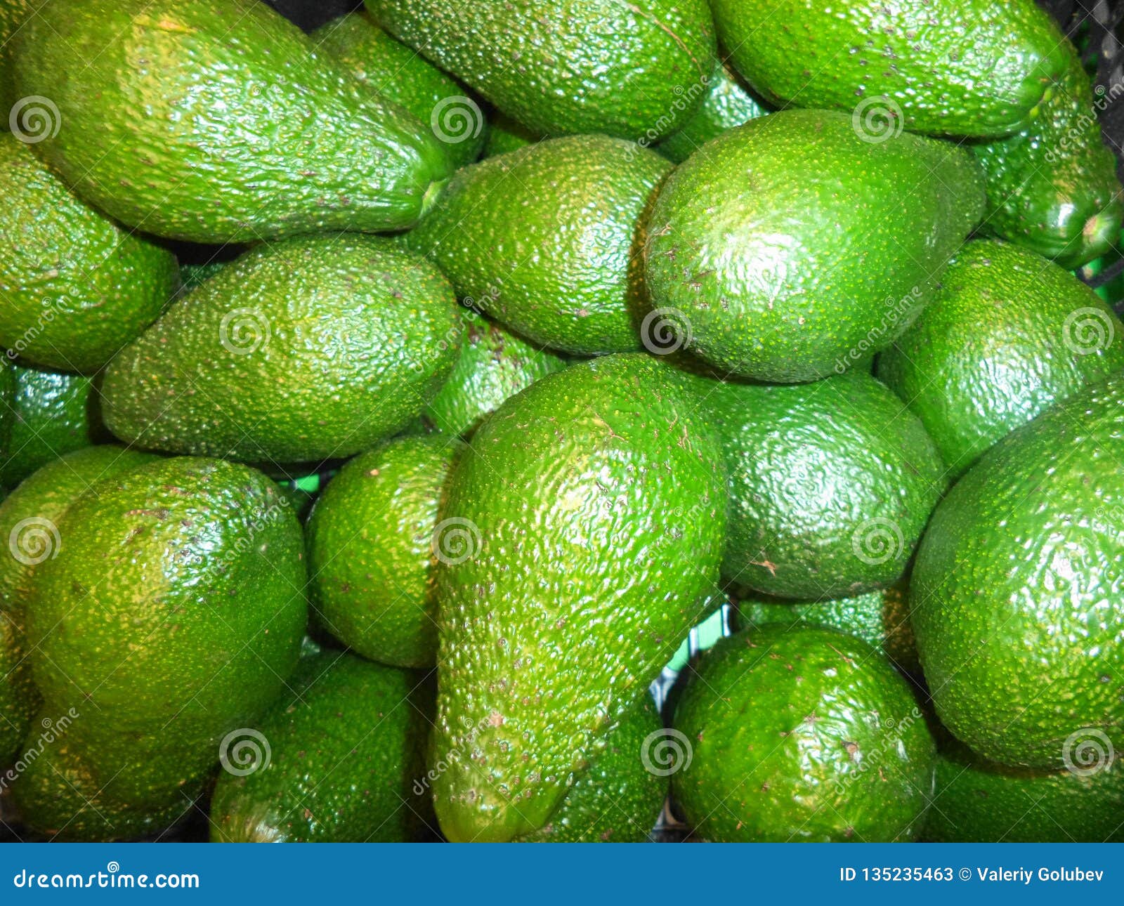 Pile of Ripe Fresh Avocados Stock Image - Image of organic, tropical ... Pile of Ripe Fresh Avocados Stock Image - Image of organic, tropical ...