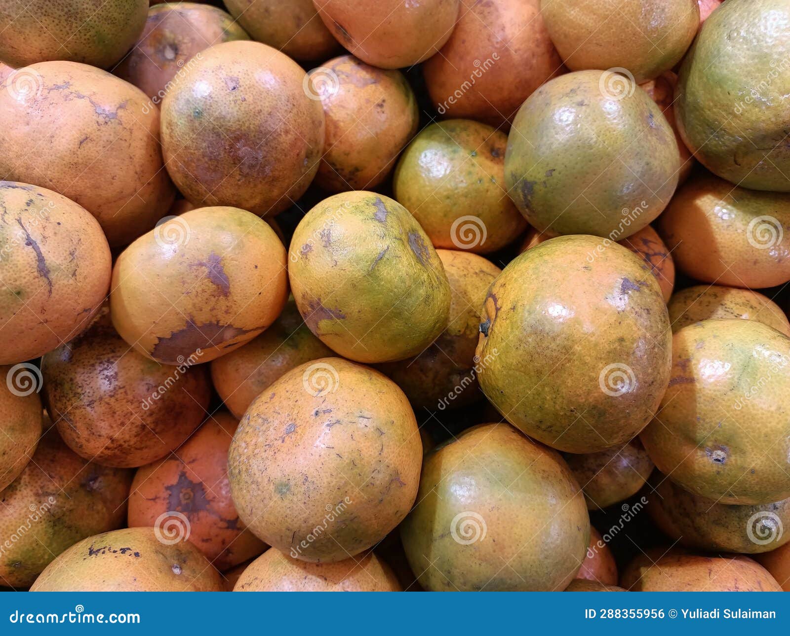 Pile of Ripe Fresh Oranges Ready To Be Sold Stock Photo - Image of ...