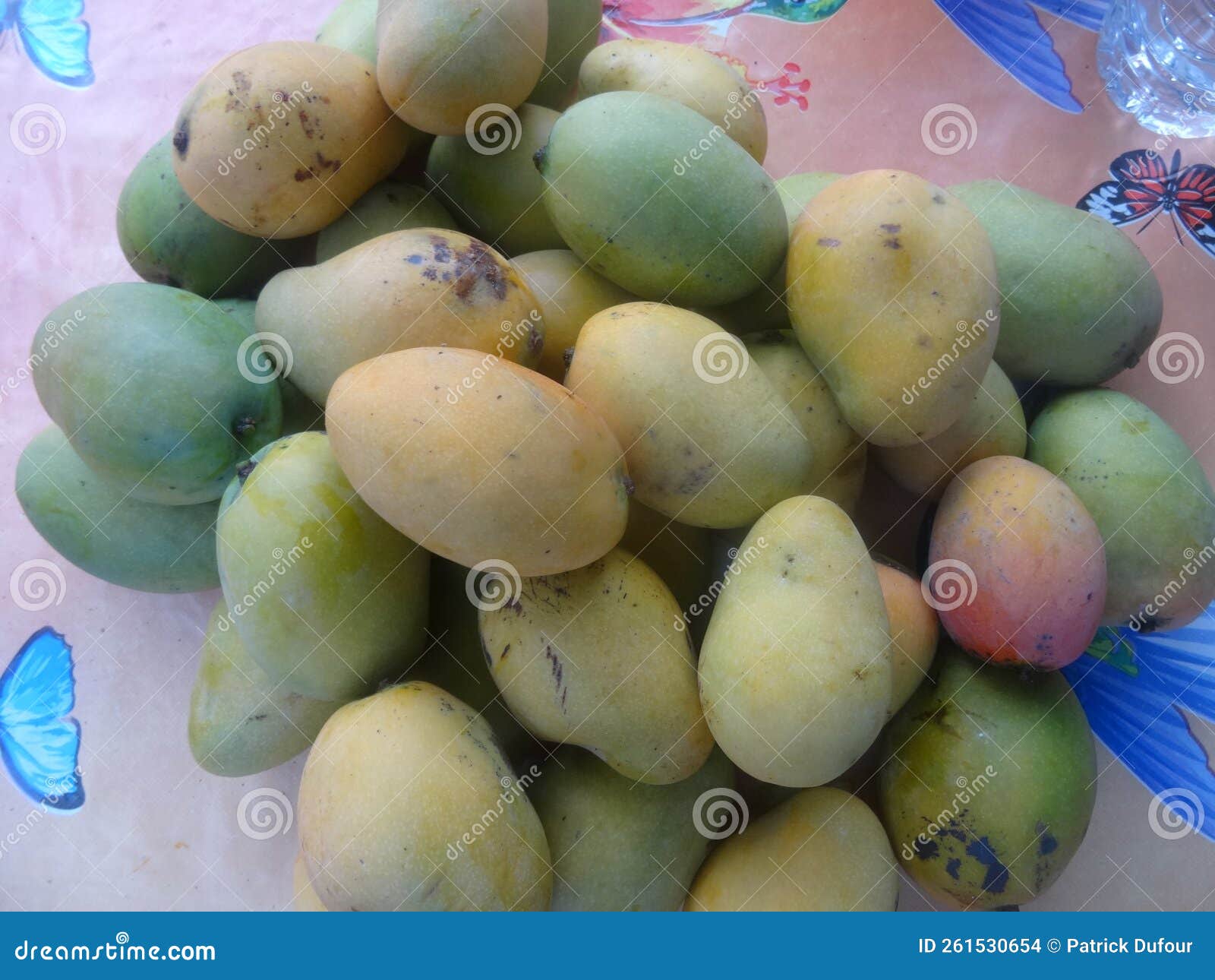 A pile of ripe mango stock photo. Image of flower, evergreen - 261530654