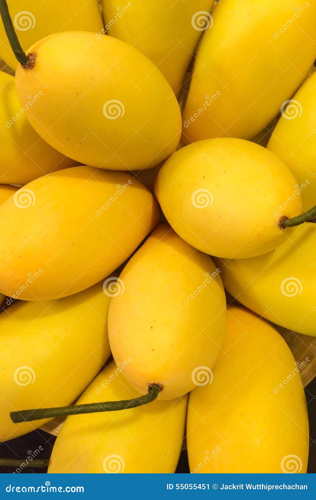 Yellow Mangoes Royalty-Free Stock Photography | CartoonDealer.com #73654343