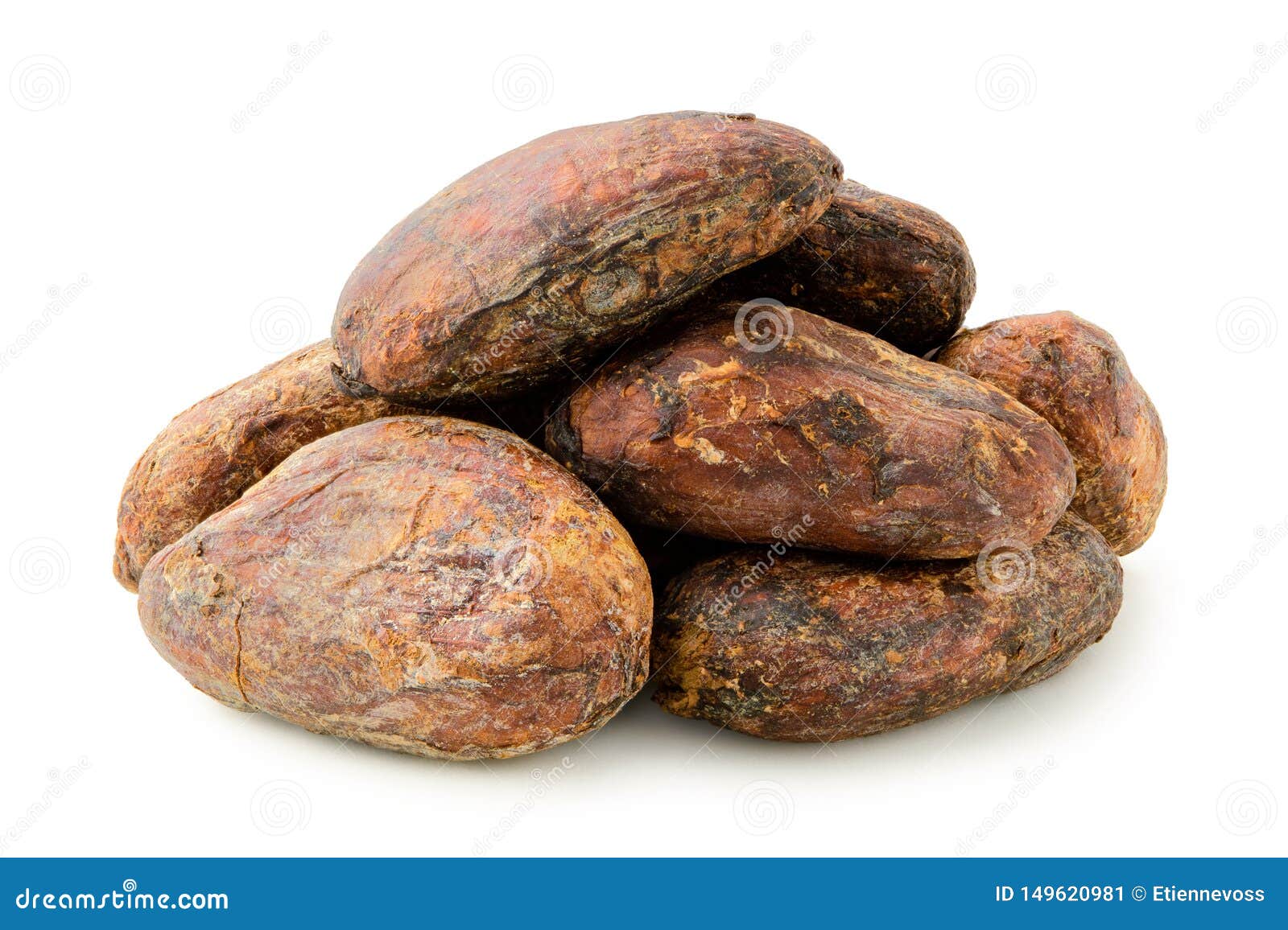 Pile of Roasted Unpeeled Cocoa Beans on White Stock Image - Image of ...