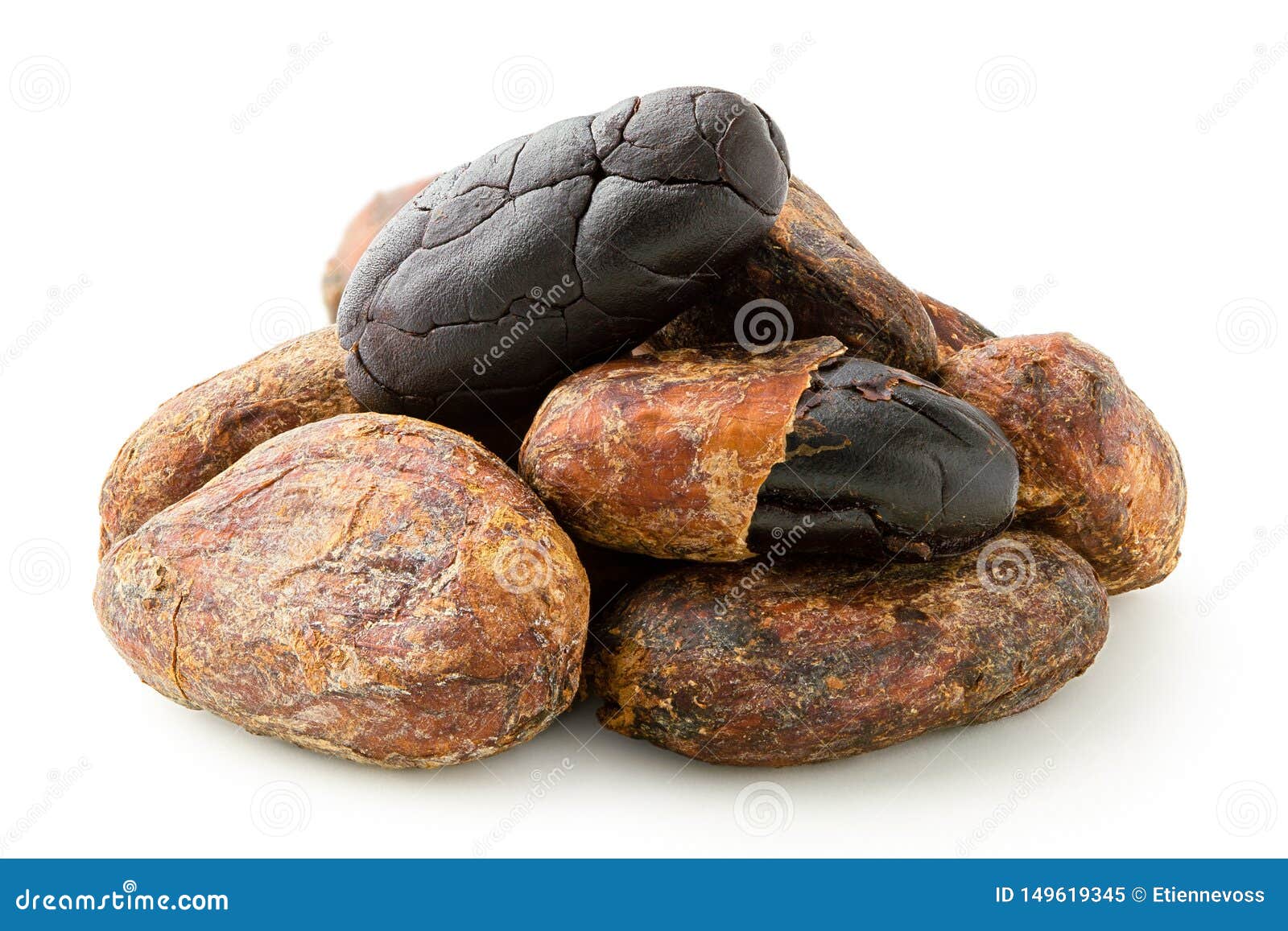Pile Of Roasted Unpeeled And Peeled Cocoa Beans Isolated On White Stock Image Image Of Cacao