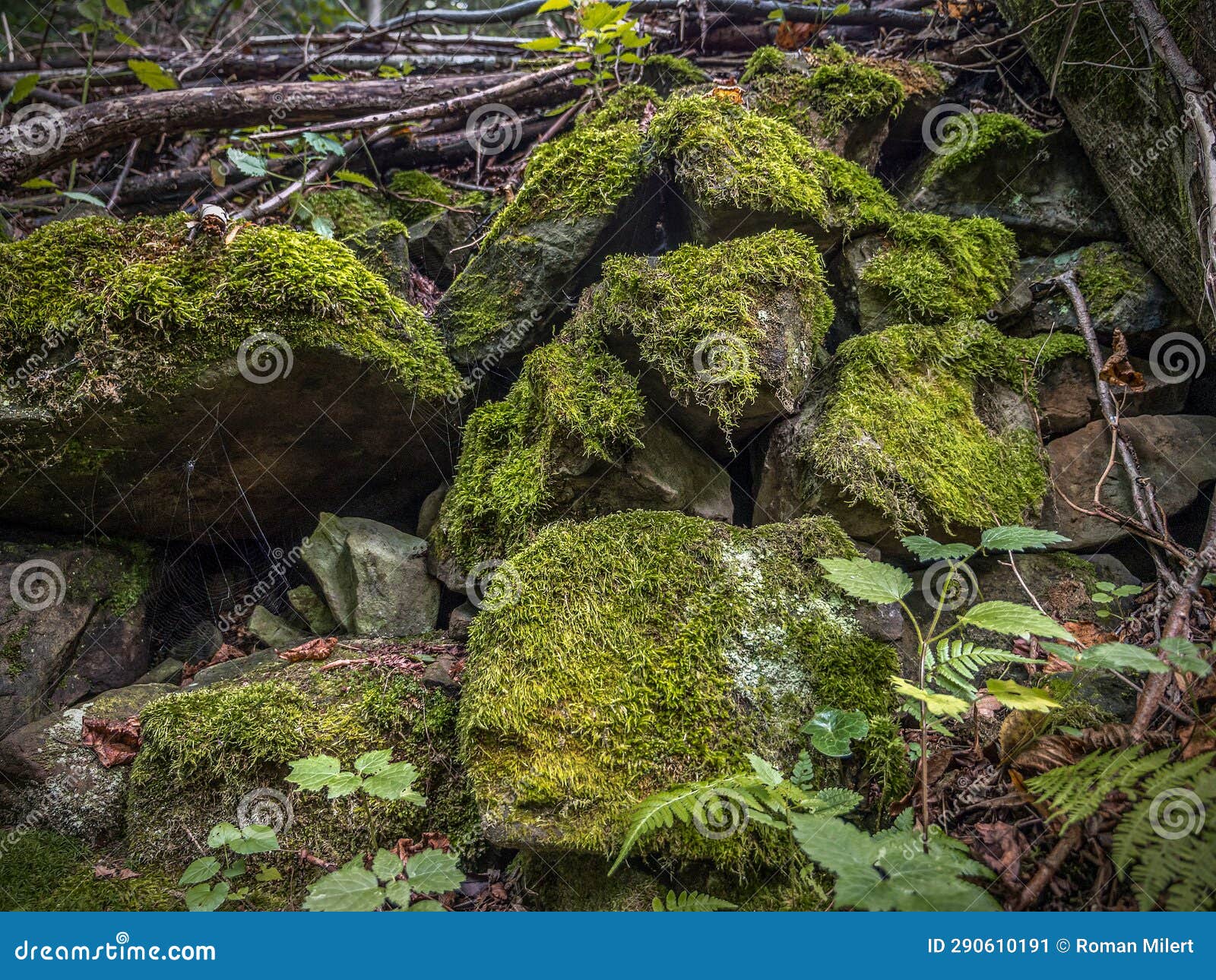 Pile of Rocks Covered with Moss Stock Image - Image of pile, stone ...