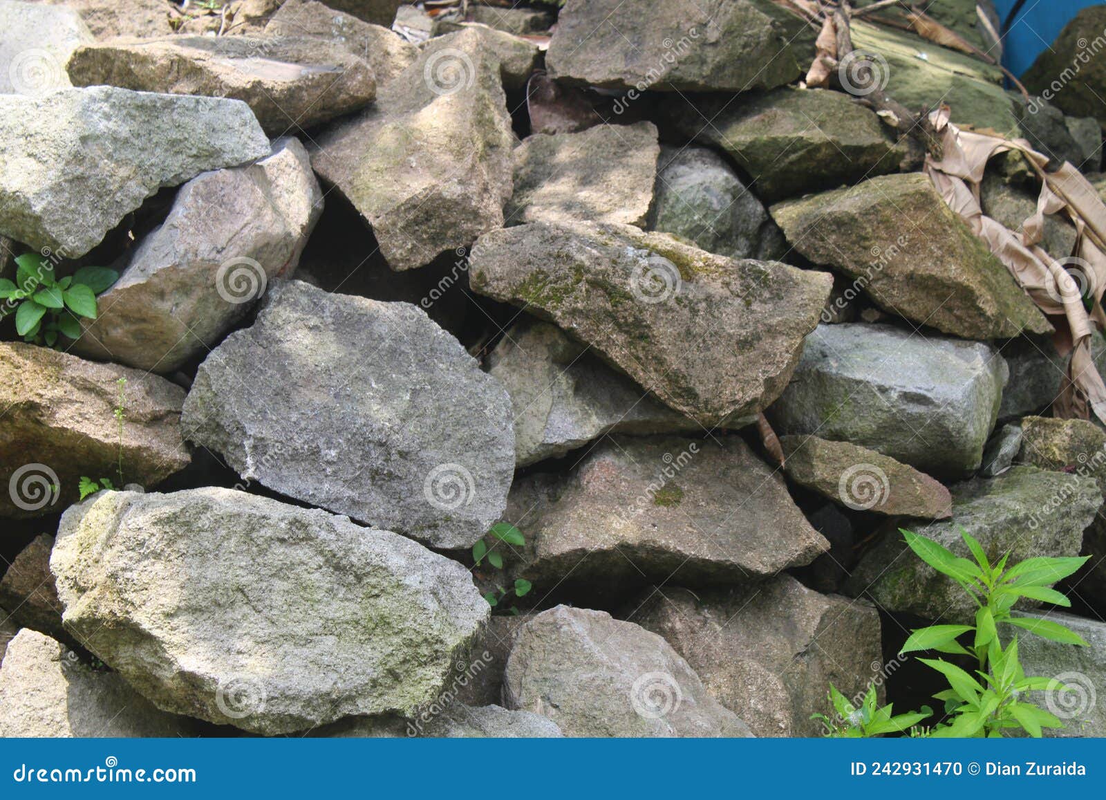 Many groups of rocks stock photo. Image of nature, boulder - 242931470