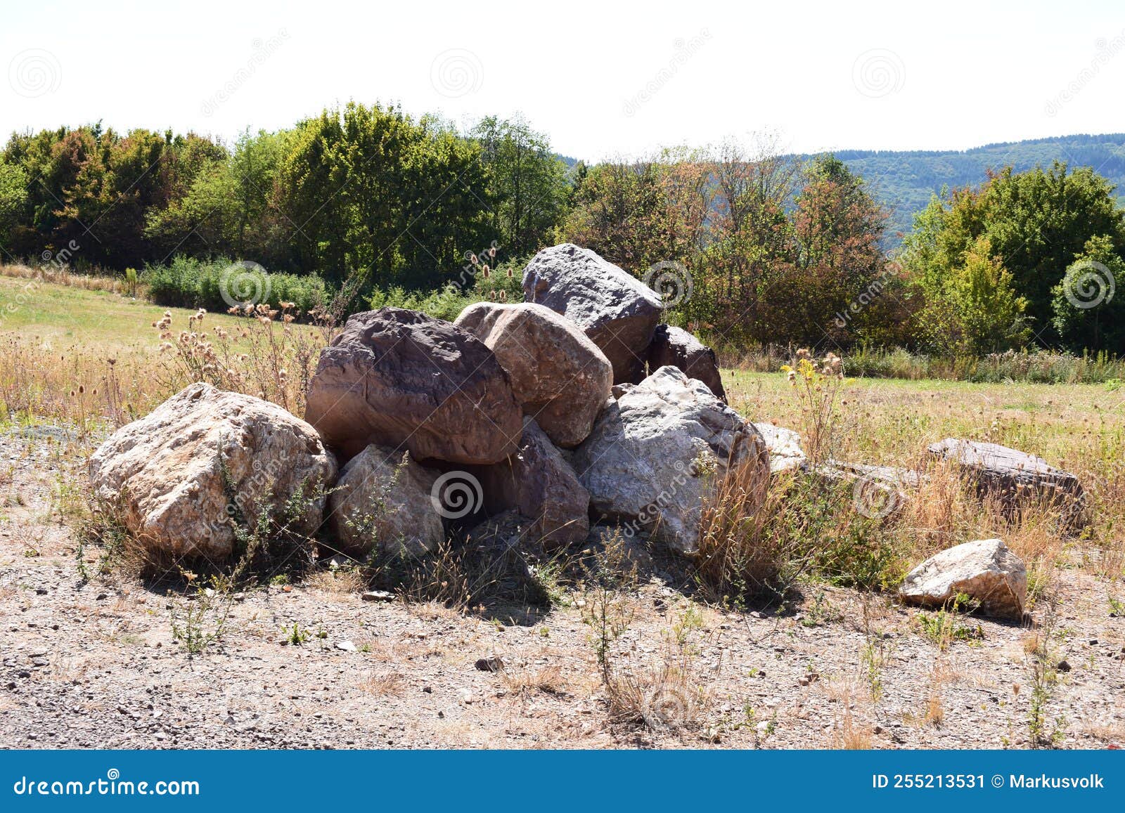 A pile of rock stock image. Image of woodland, plant - 255213531