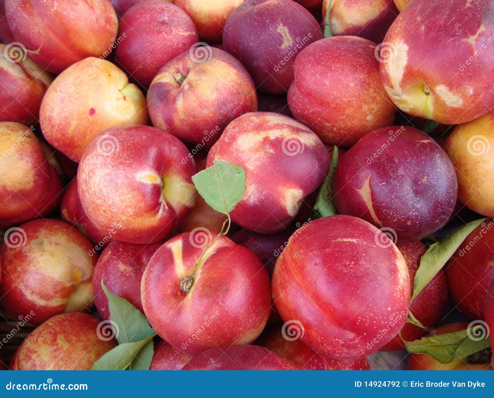 Pile of Rose Diamond Nectarines Stock Photo - Image of fruit, health ...