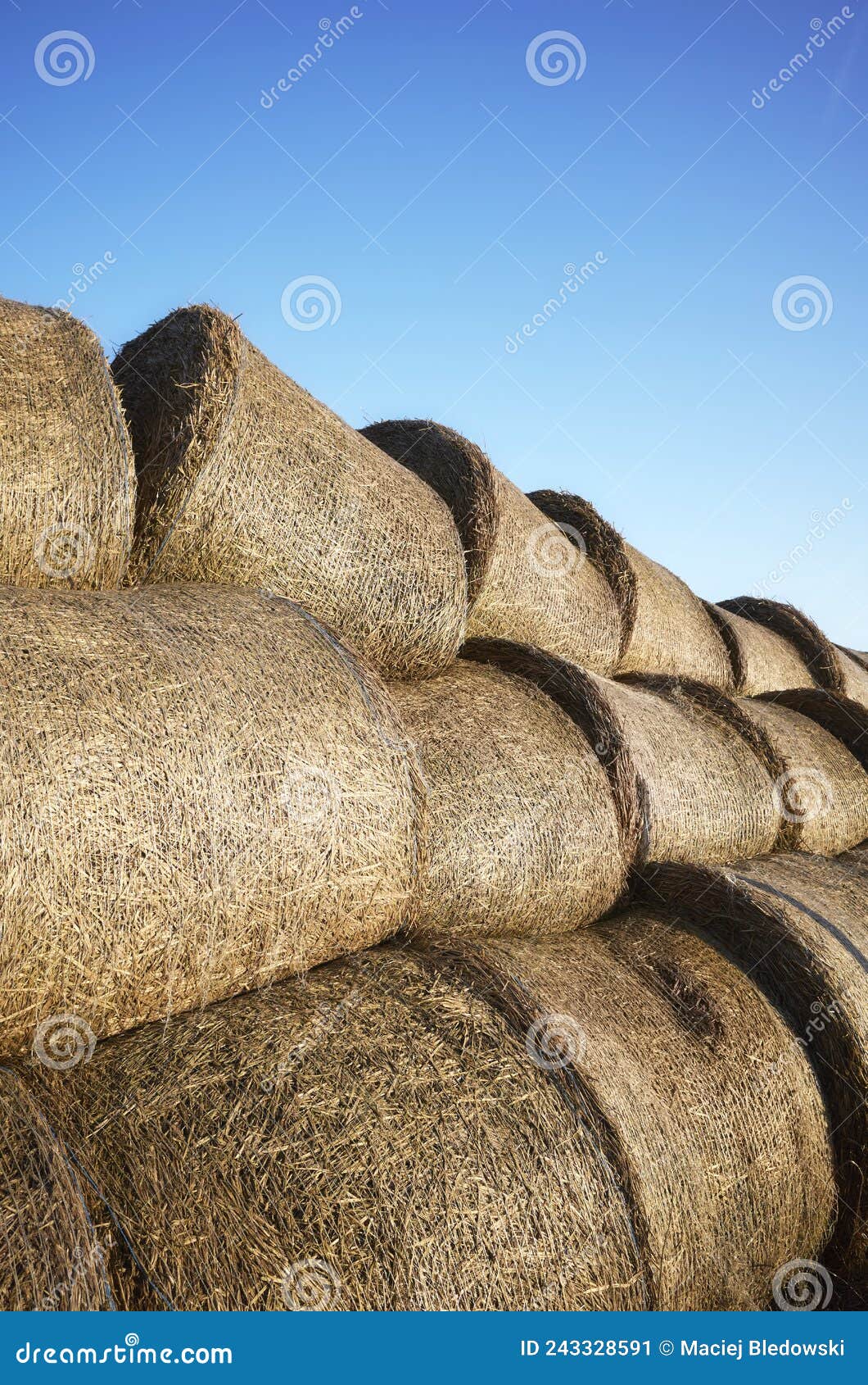 Pile of Round Hay Bales at Sunset Stock Image - Image of roll, nature ...