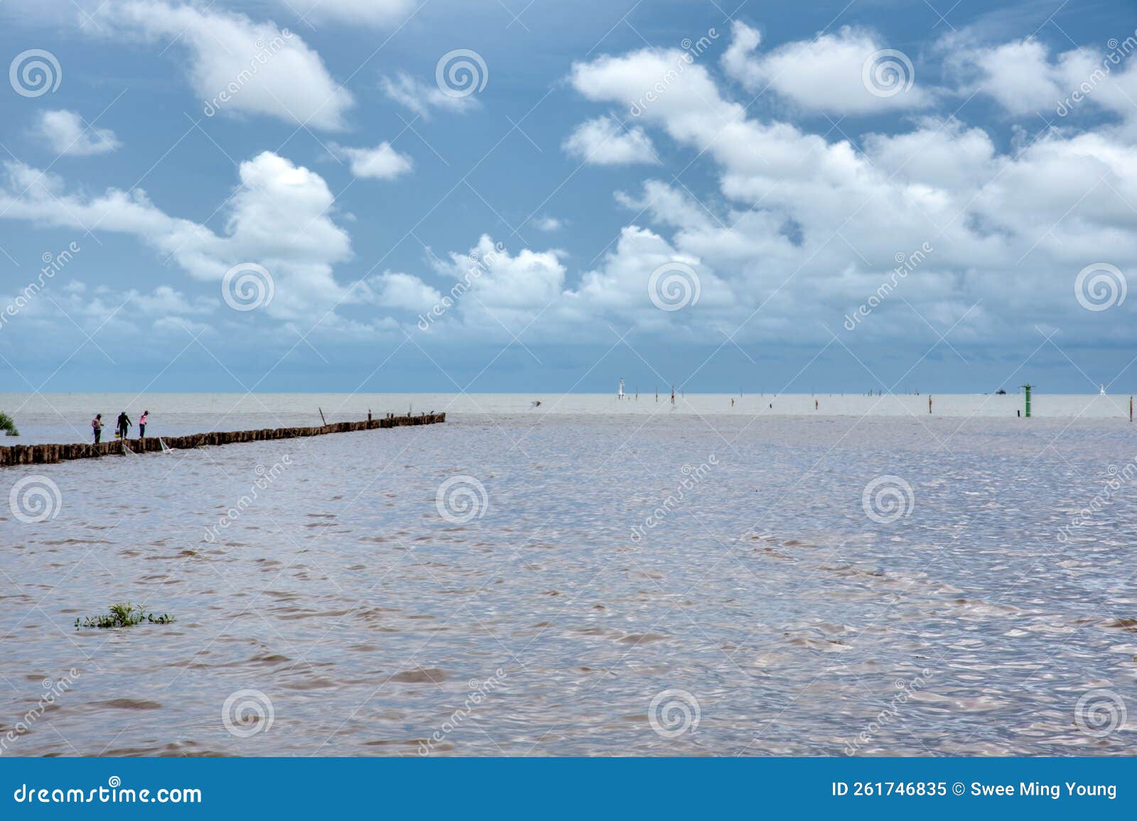 Pile in a Row of Log Jetty by the Sea Stock Image - Image of leisure ...