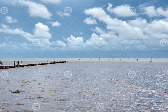 Pile in a Row of Log Jetty by the Sea Stock Image - Image of leisure ...