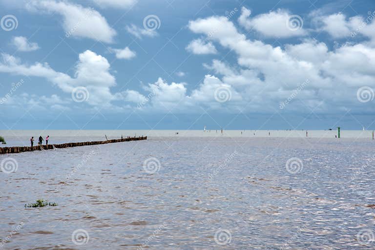 Pile in a Row of Log Jetty by the Sea Stock Image - Image of leisure ...