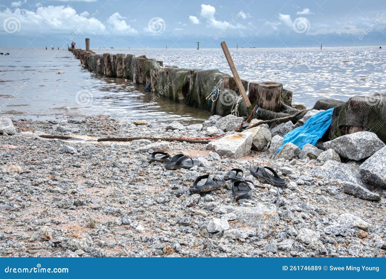 Pile in a Row of Log Jetty by the Sea Stock Image - Image of dock, leaf ...