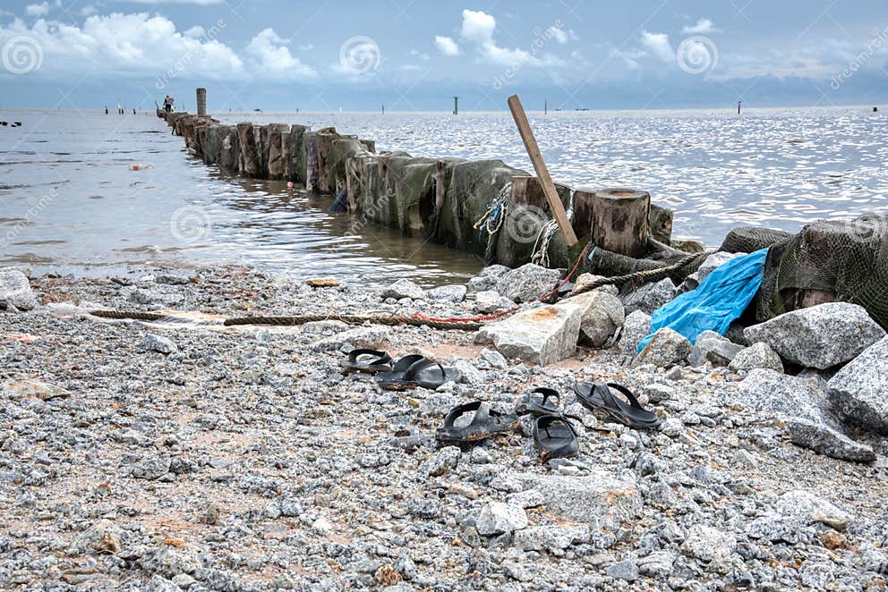 Pile in a Row of Log Jetty by the Sea Stock Image - Image of dock, leaf ...